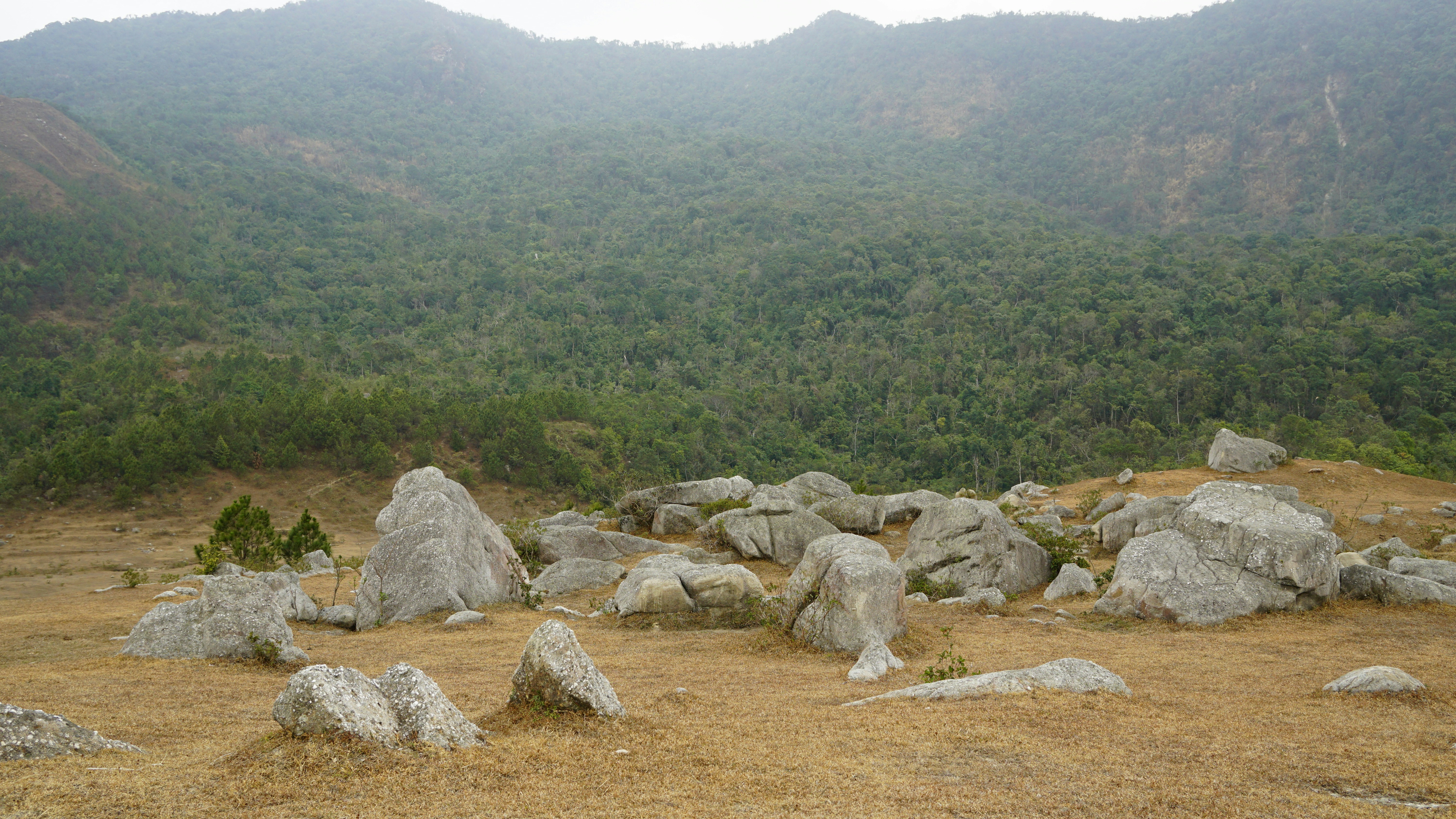 Whispers of the Ancient Landscape