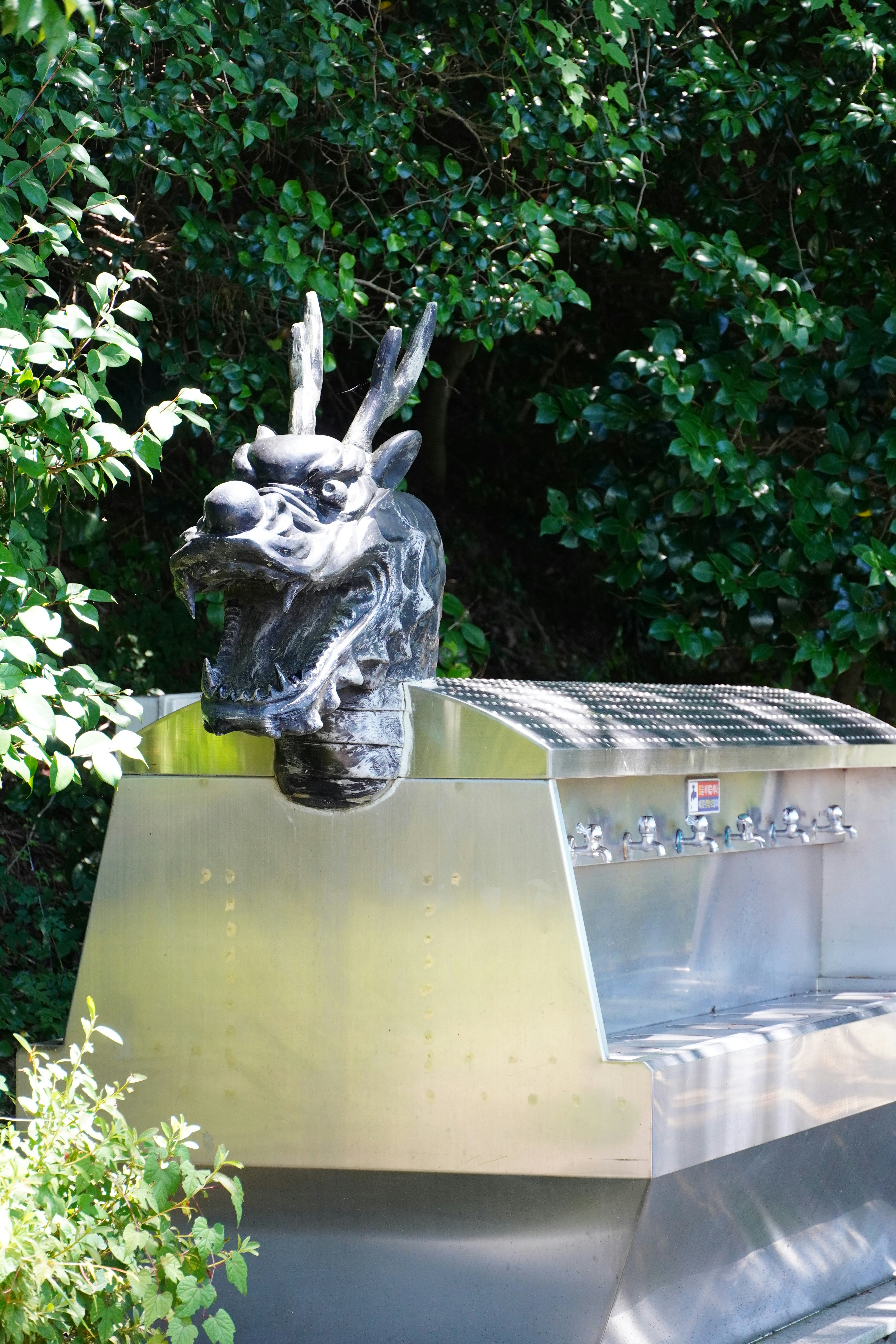 The Dragon's Embrace: A Fusion of Nature and Art