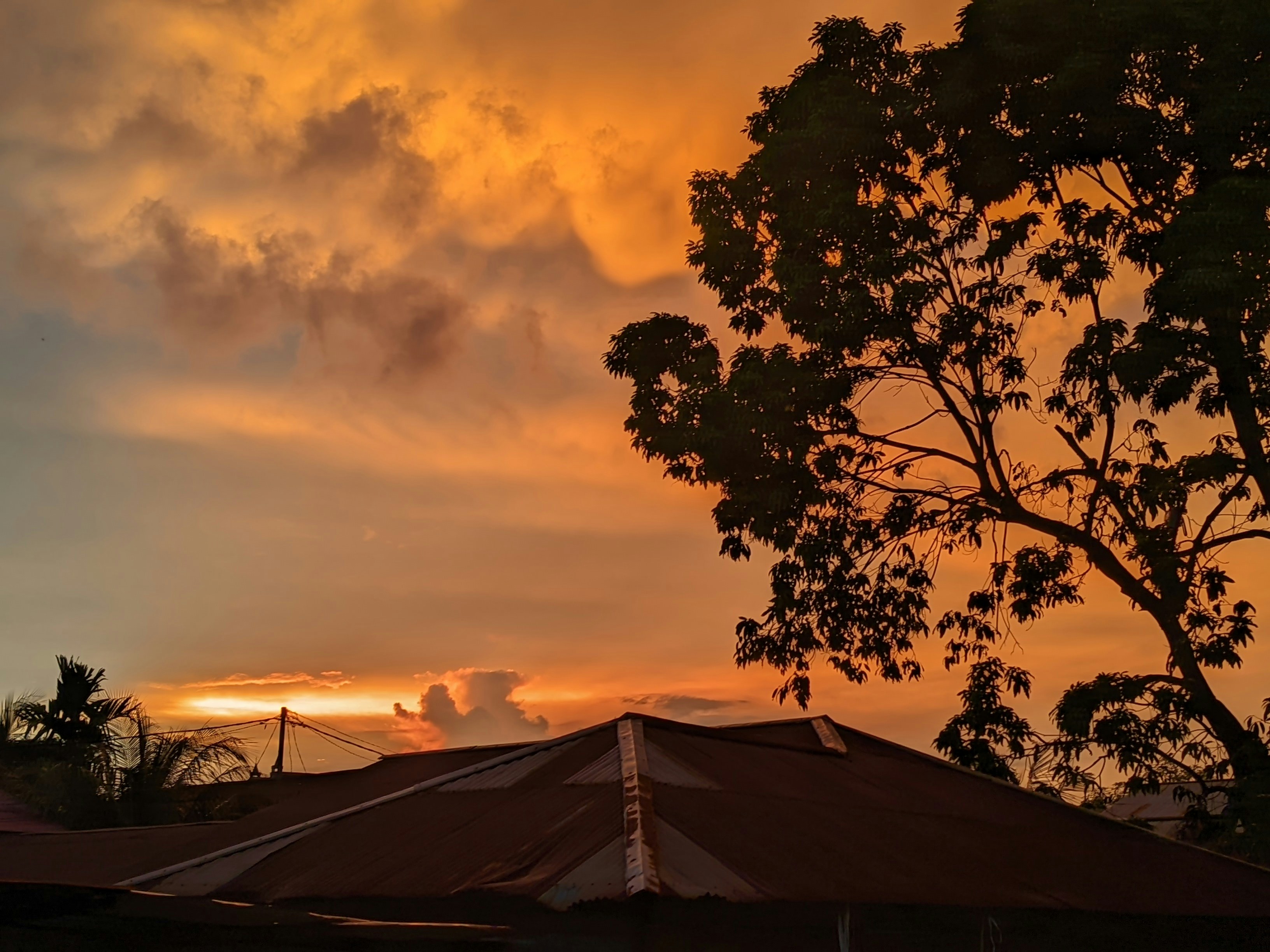 Vibrant sunset casting warm hues over a silhouette of trees and rooftops. The scene captures the tranquil transition from day to night.