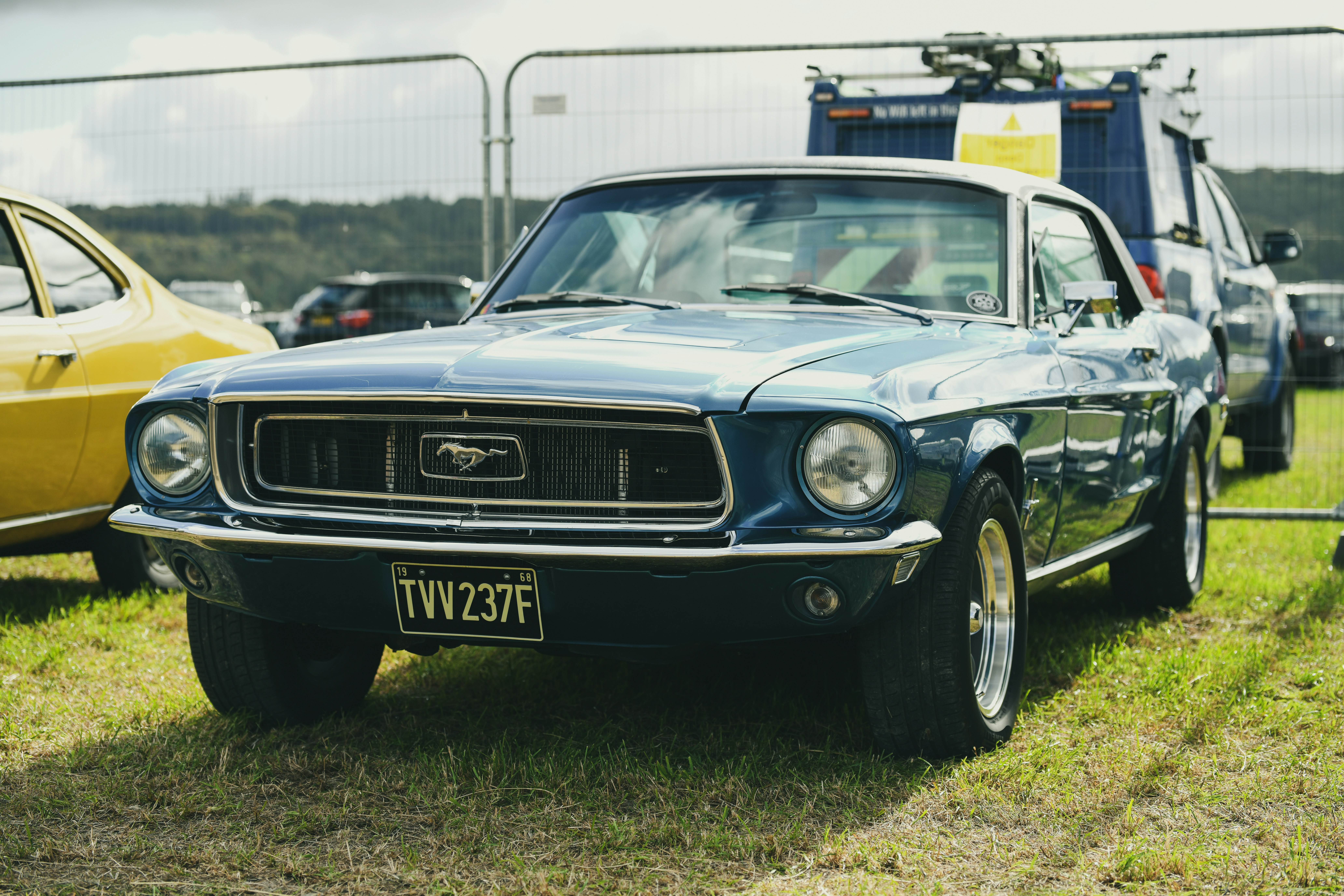 Blue 1965 Ford Mustang Stands Out at a Sunlit Car Show