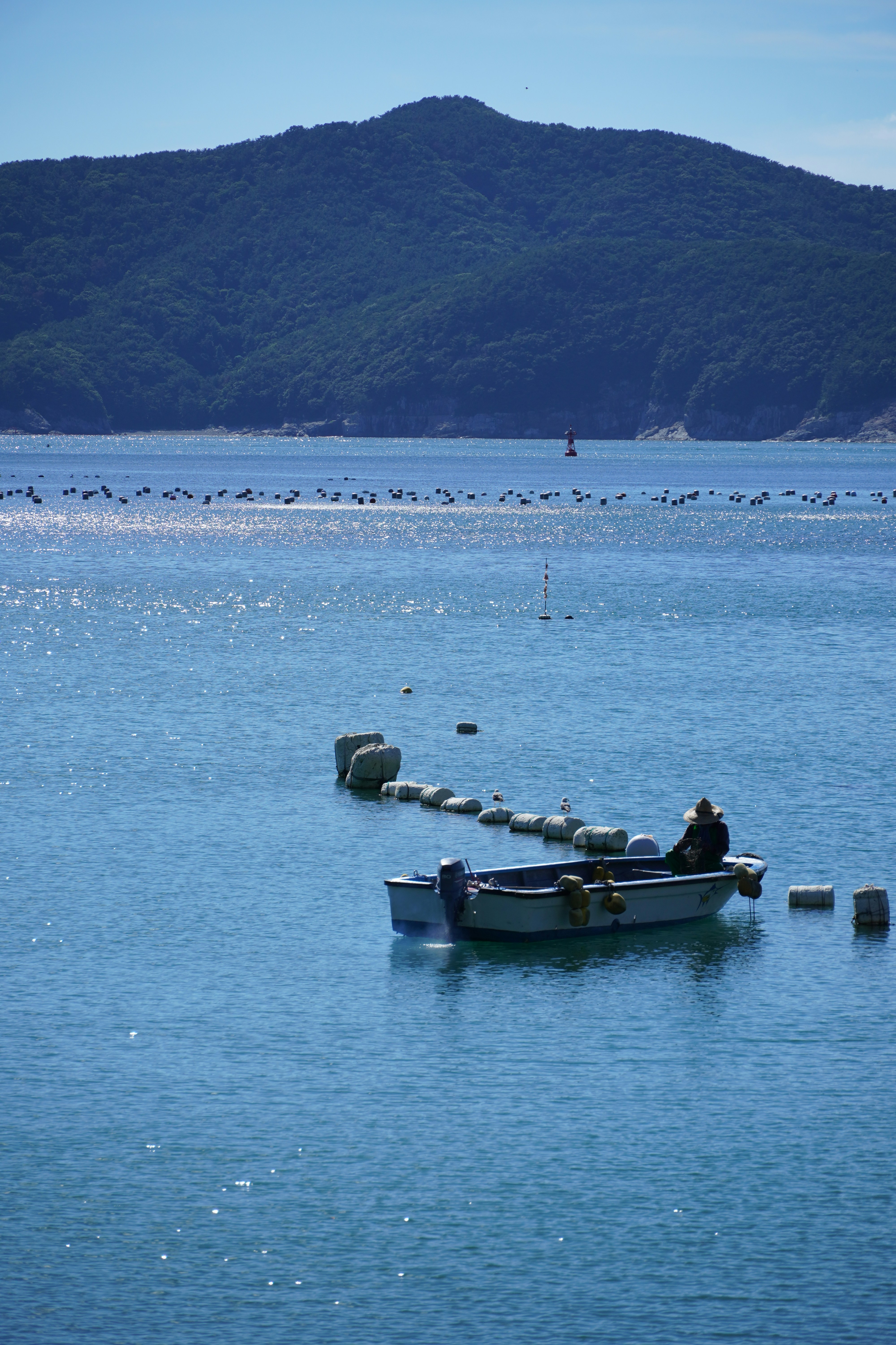 Solitude on Serene Waters