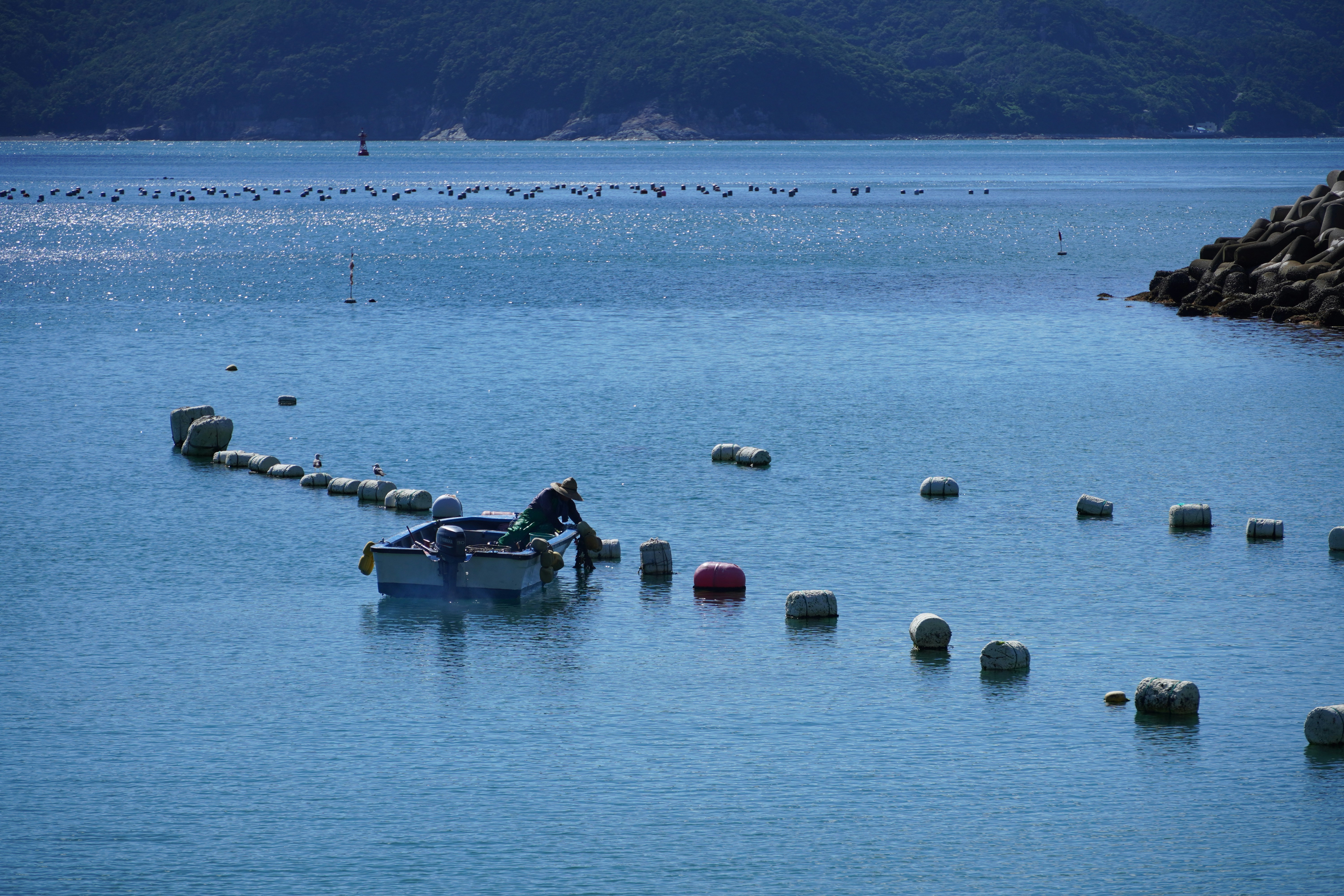 Harmony of Sea and Labor