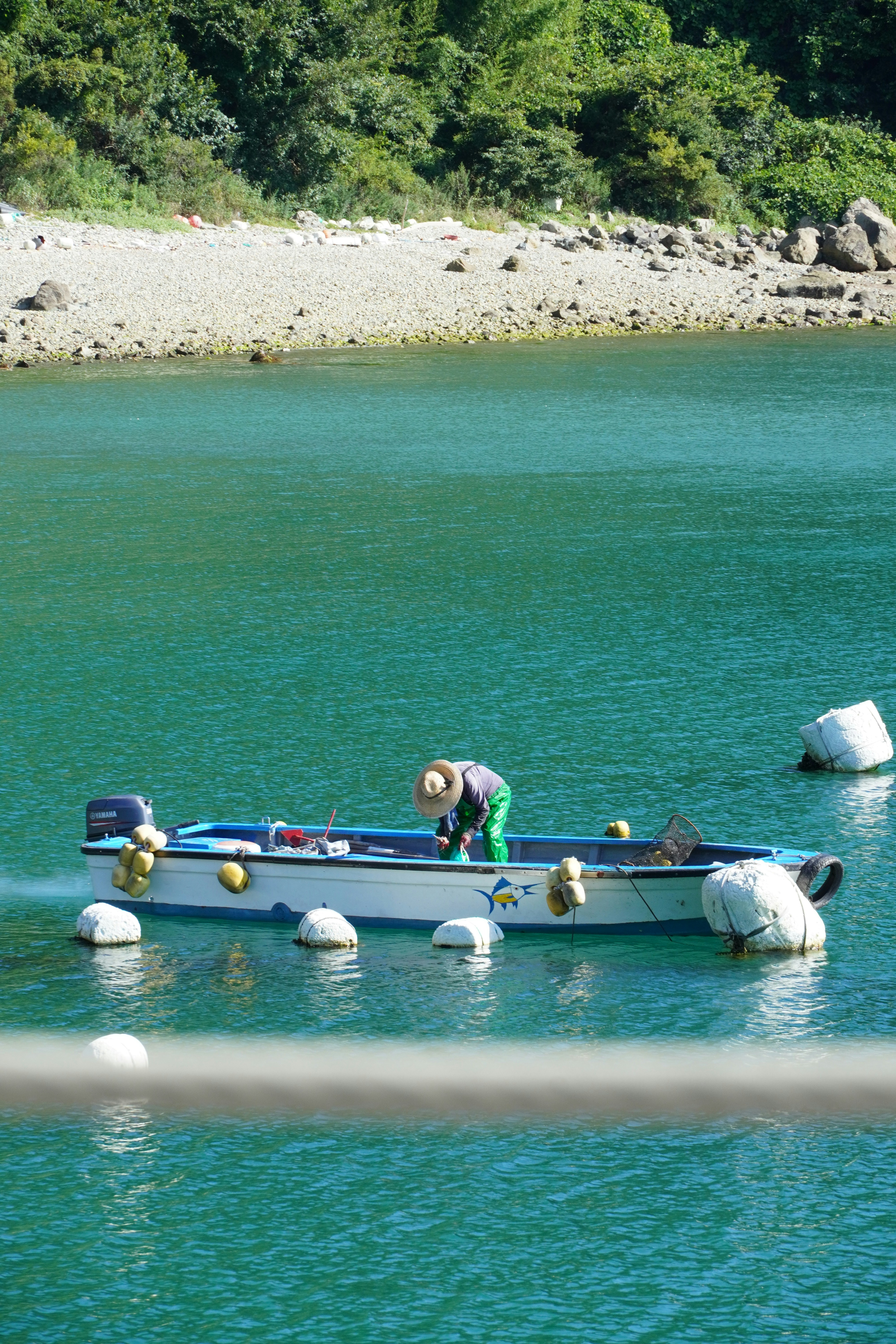 Teal Waters, Cove Fisherman: Tending Gear in Sunlit Calm
