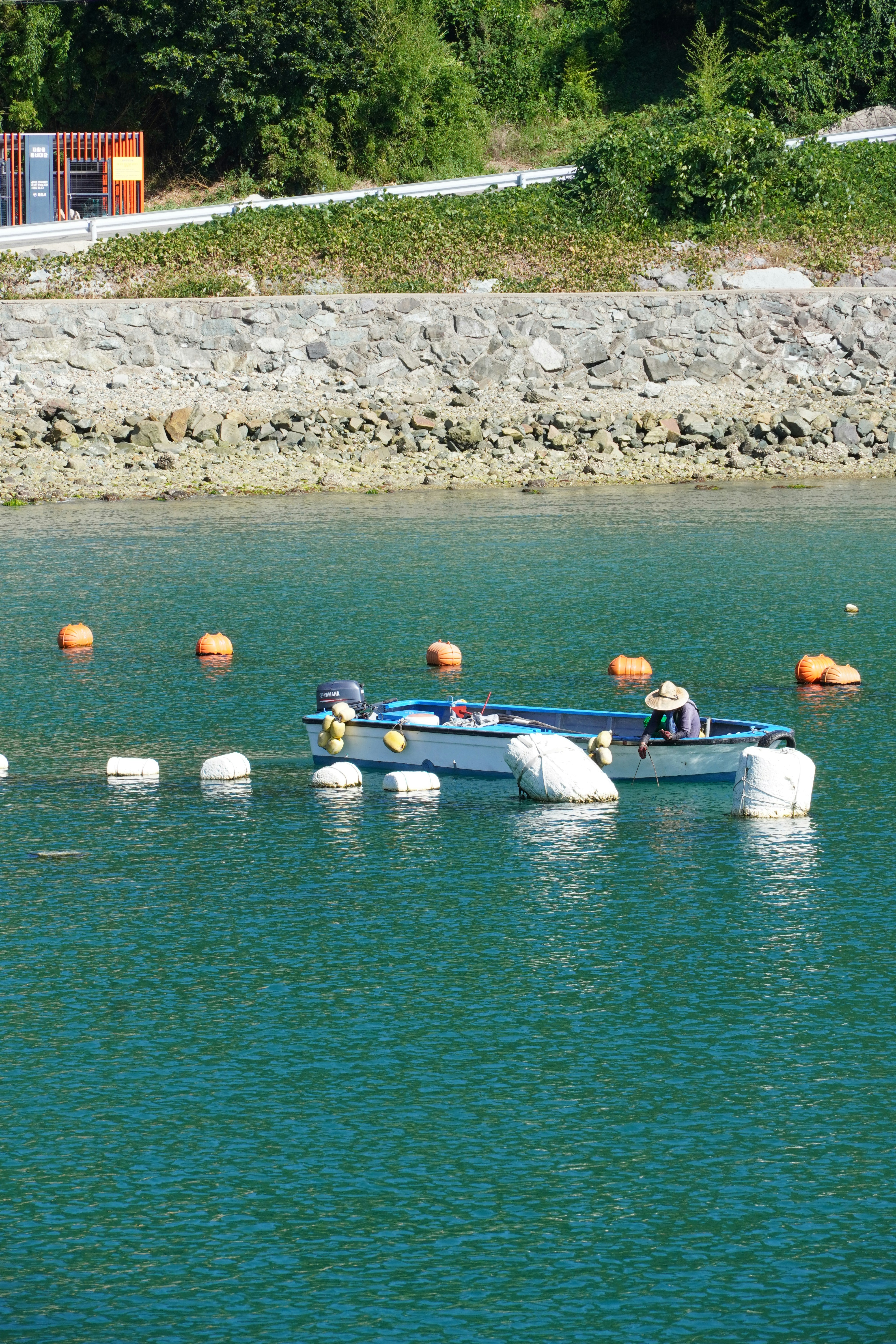 Serenity on the Water: A Fisherman's Retreat