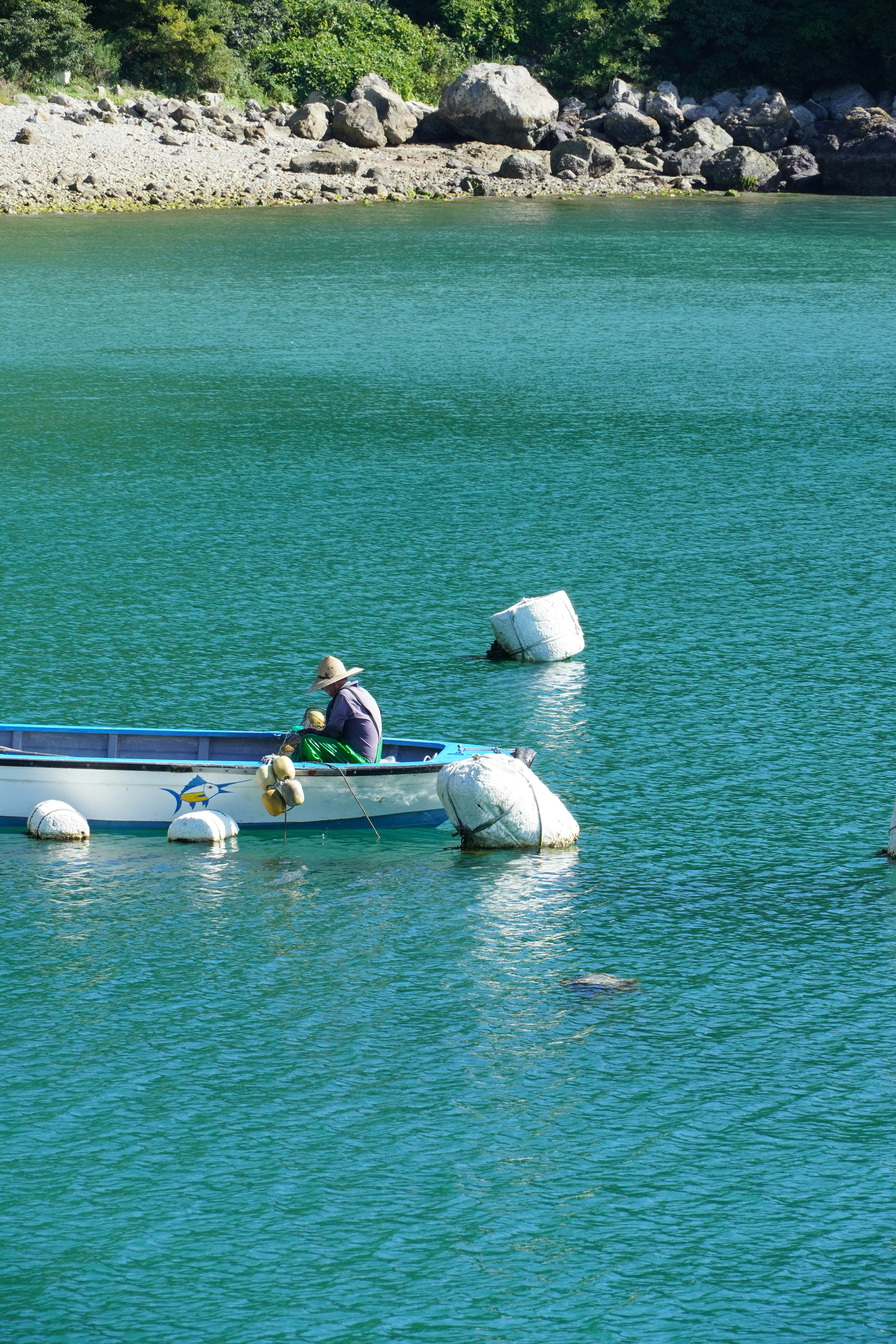 Serenity on the Water: A Fisherman's Retreat