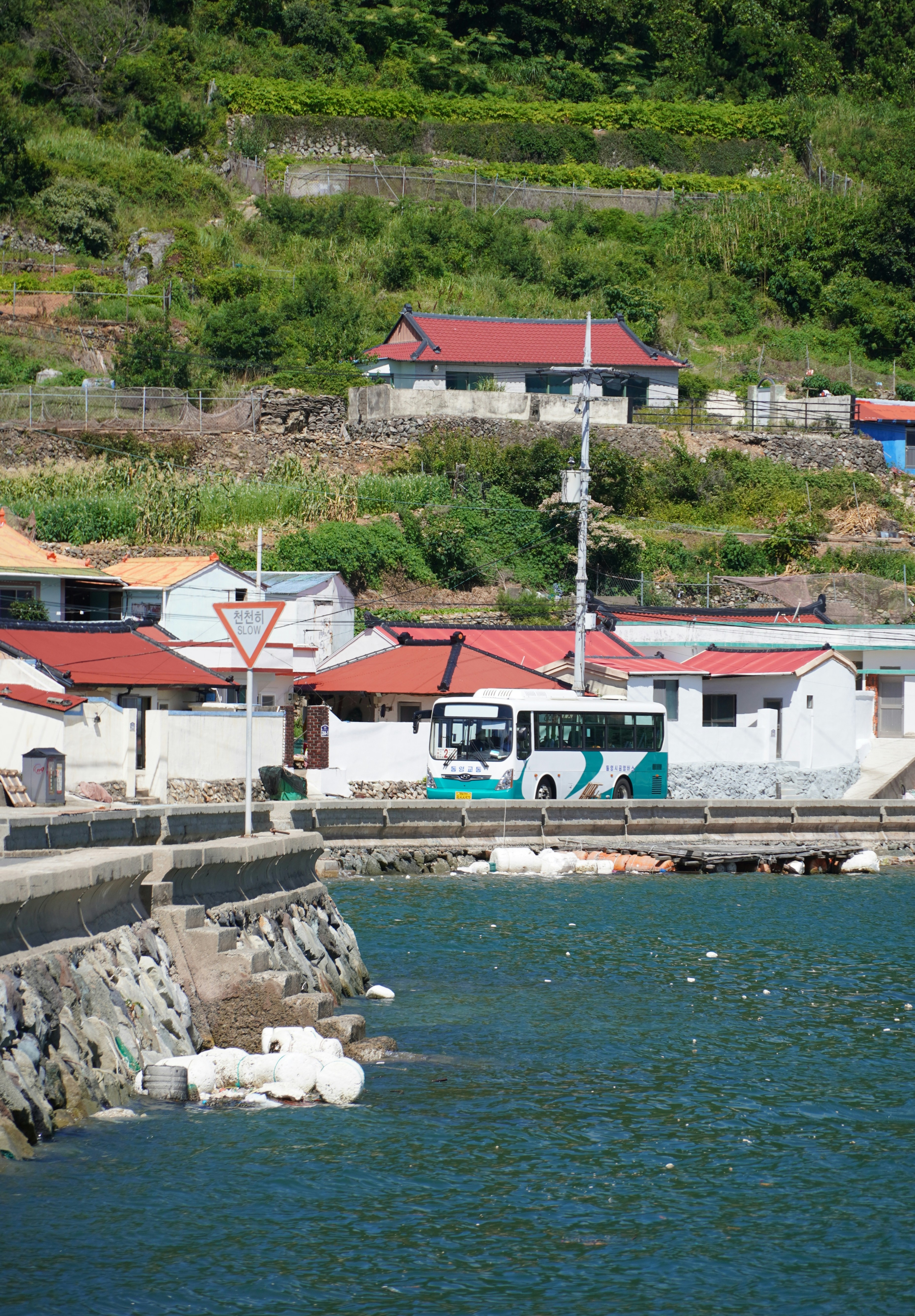 Coastal Harmony: A Glimpse of Everyday Life