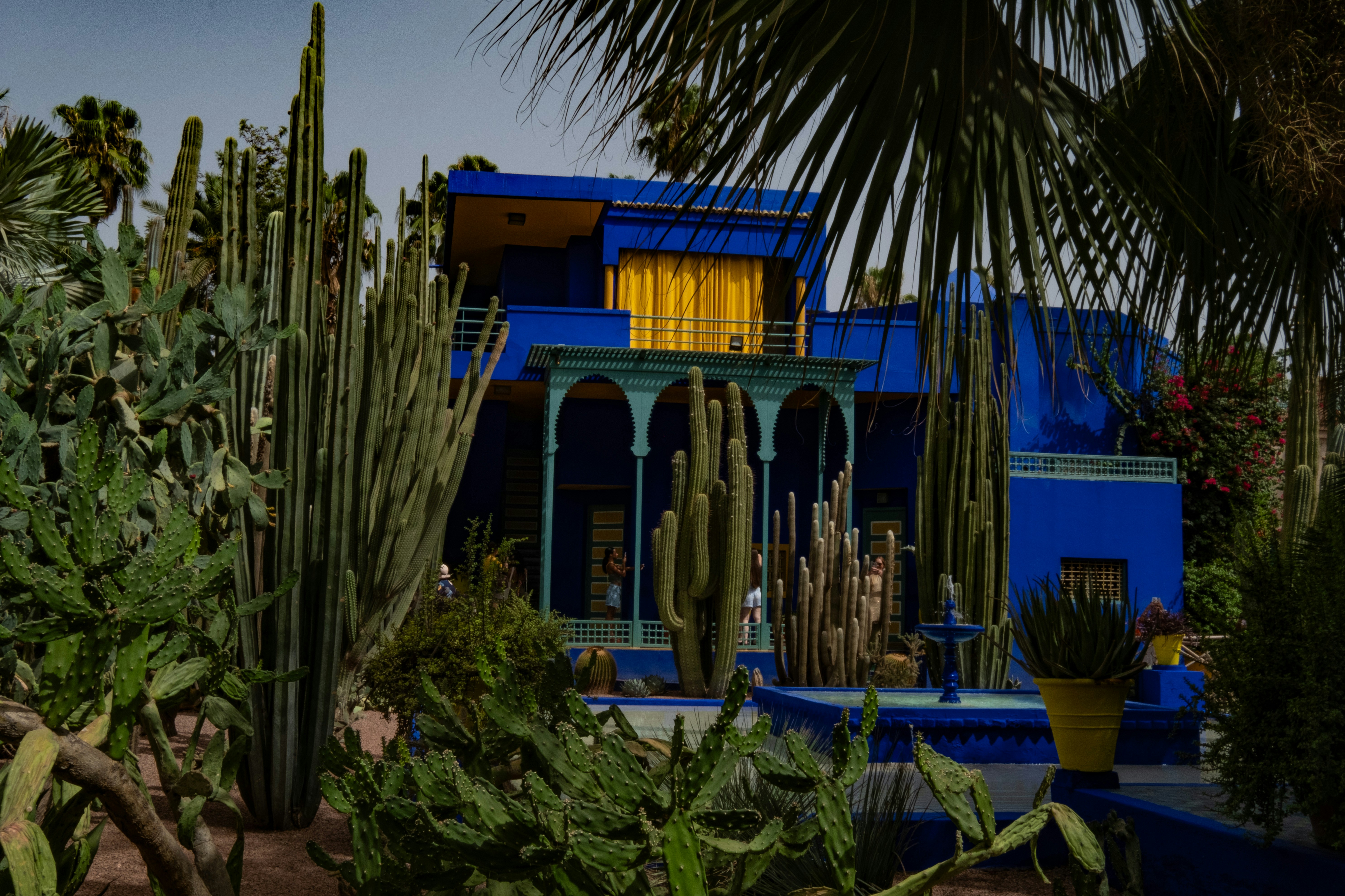 Vibrant Oasis: A Journey Through Color and Nature