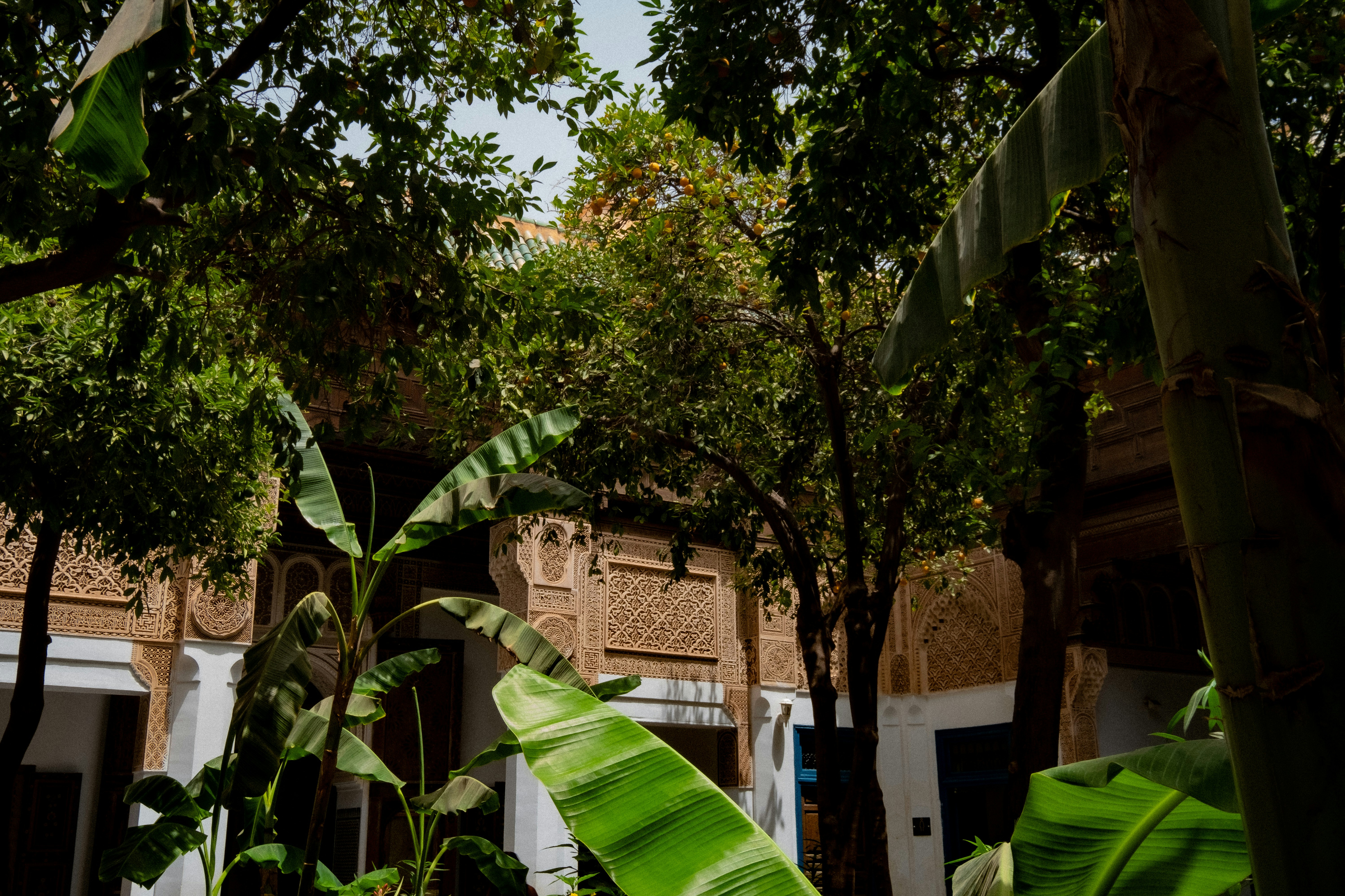 Lush green banana leaves frame a serene courtyard adorned with intricate architectural details, inviting tranquility amidst urban life.