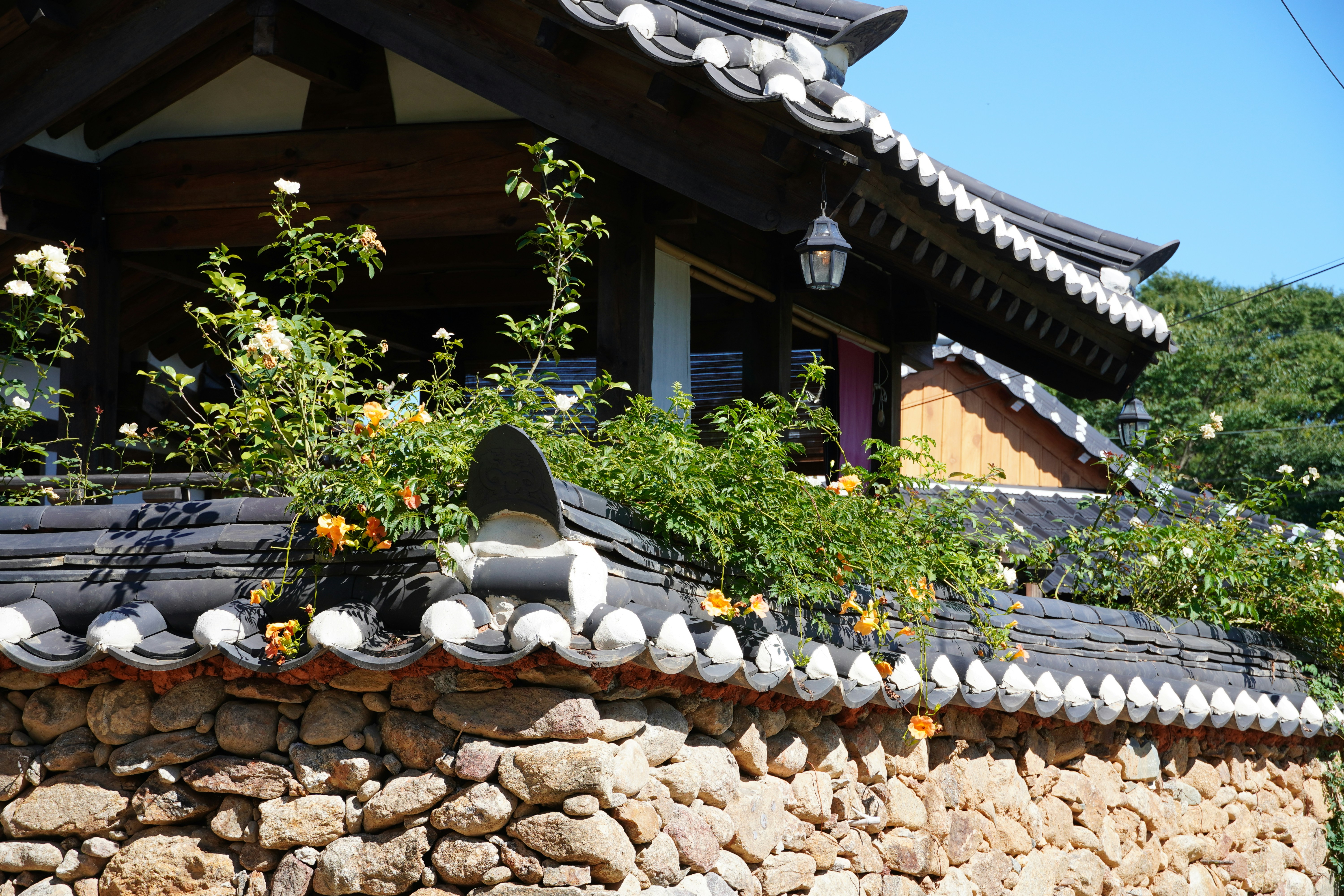 Sunlit Roofline and a Blooming Balcony over a Rustic Stone Wall