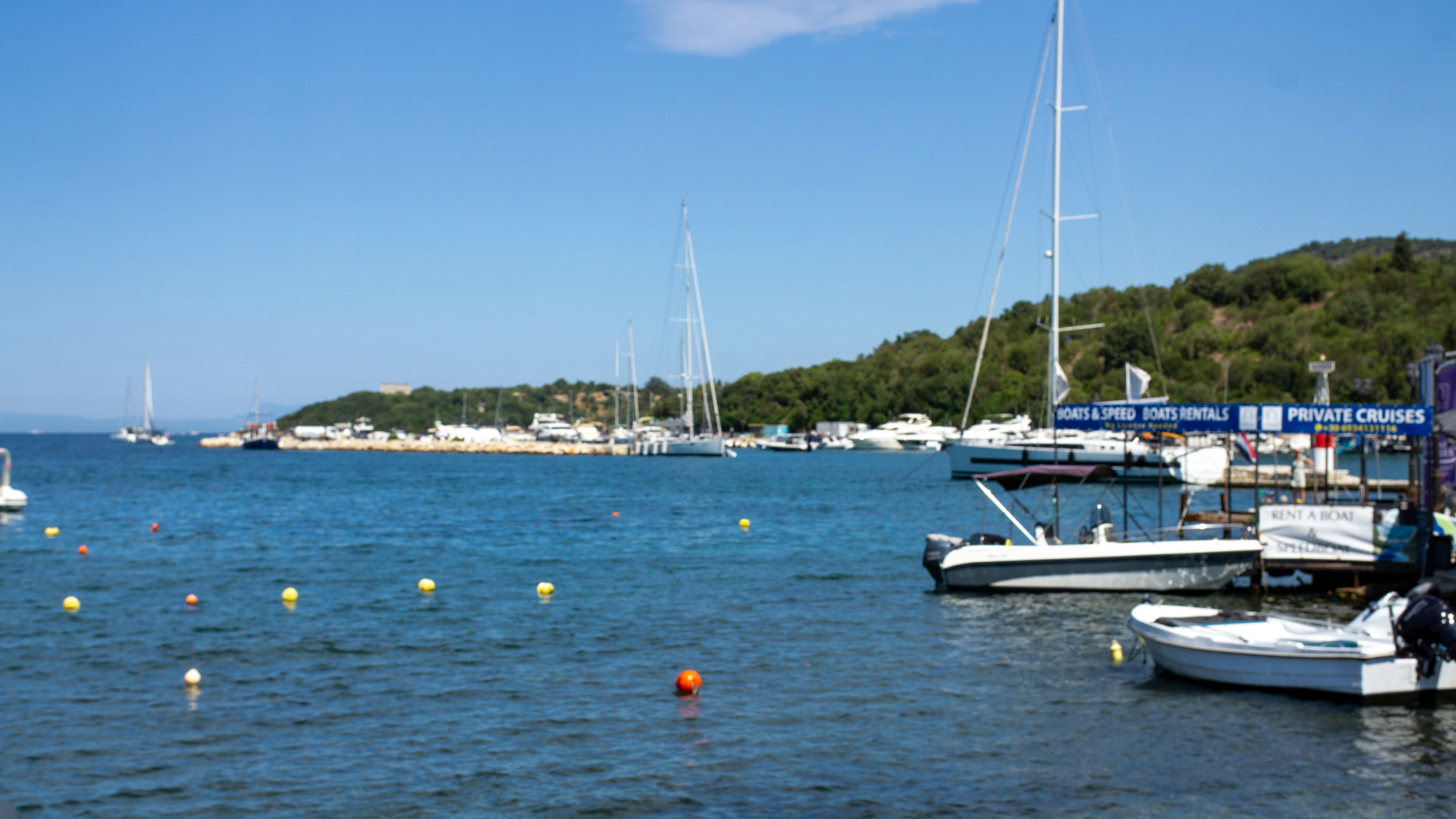 A tranquil harbor scene featuring moored boats and a distant shoreline dotted with yachts and greenery.