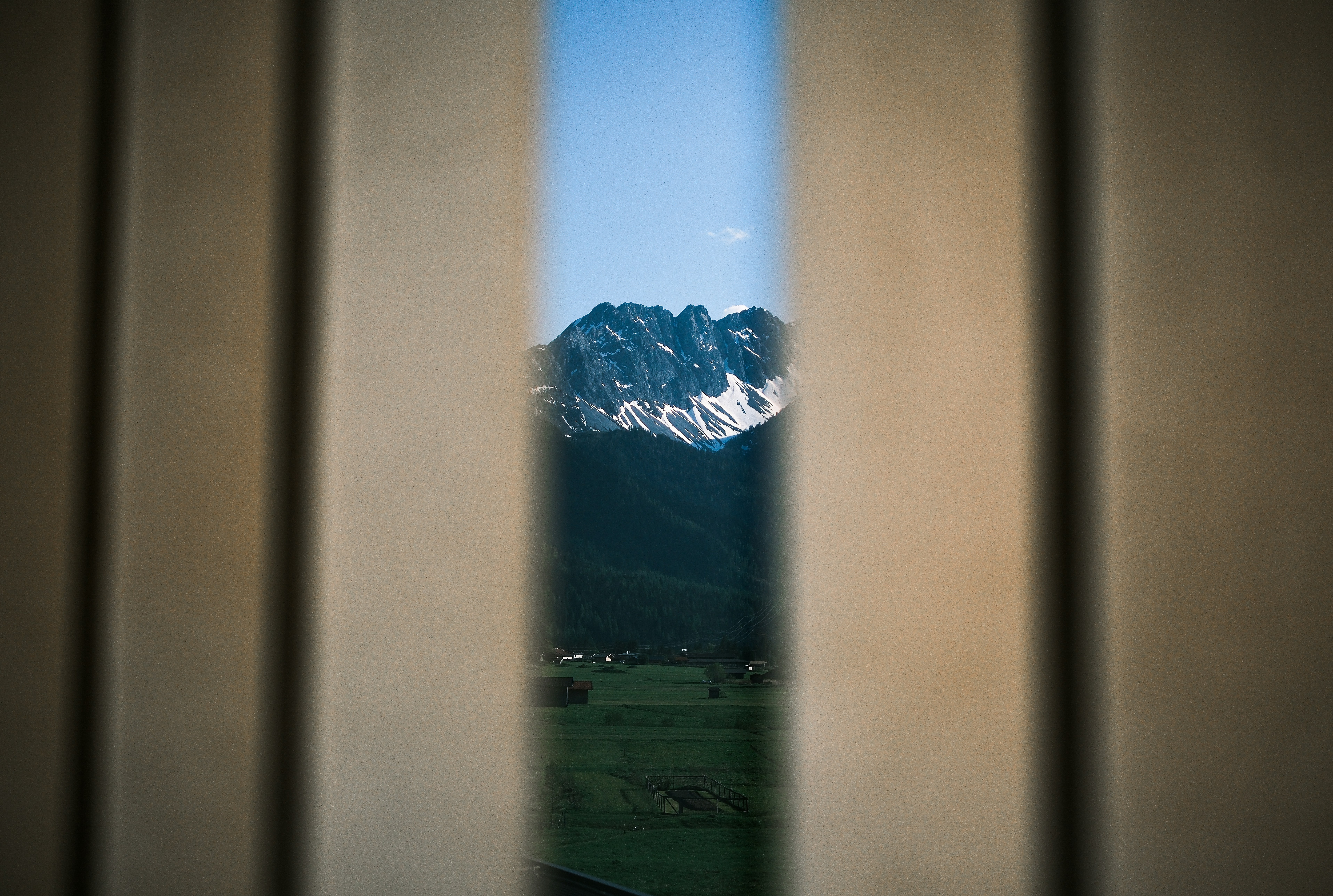 Framed Majesty: A Glimpse Through Nature's Veil