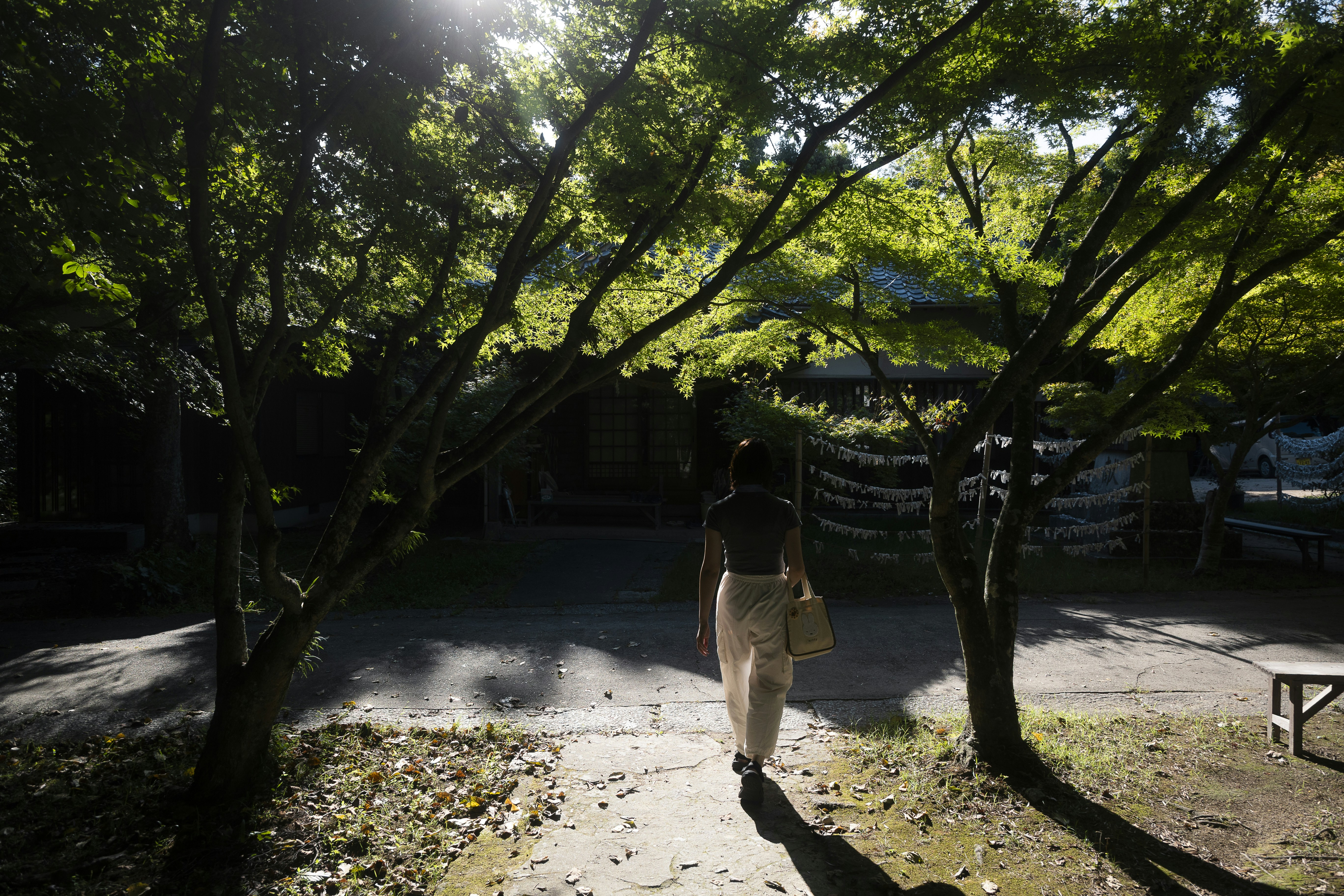 Woman walking down a path in a sunlit garden.