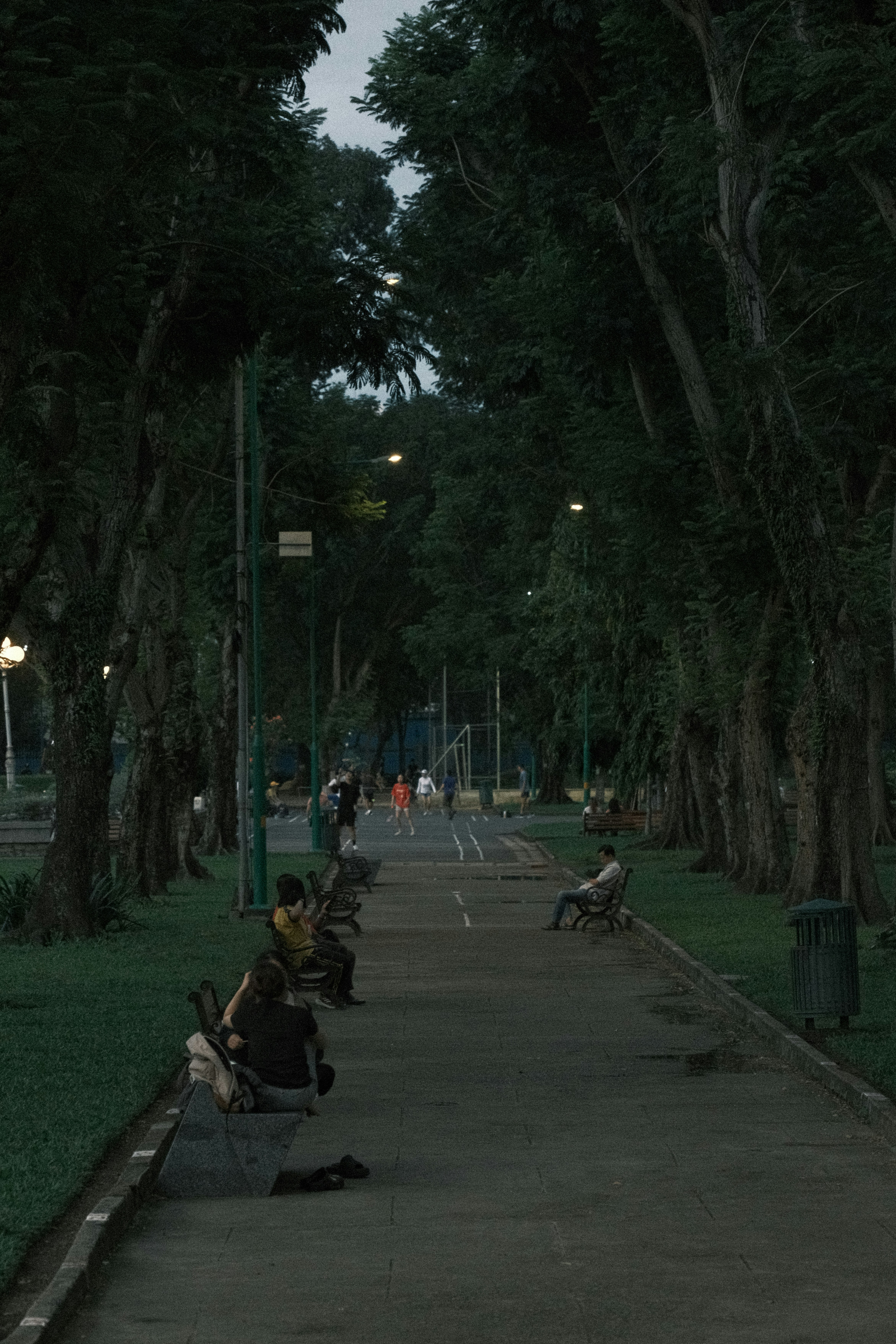 Evening Strolls in the Lush Green Park