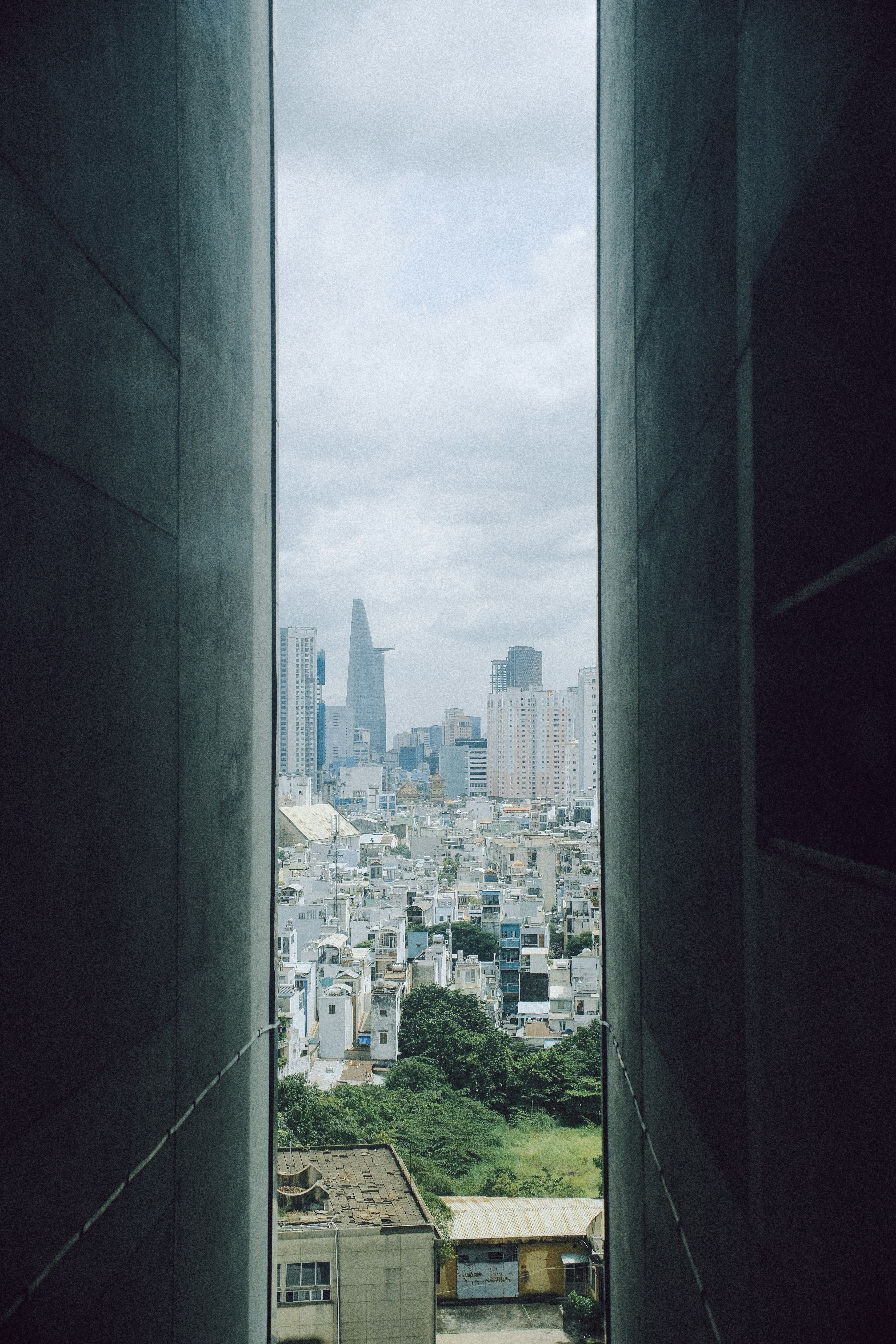Urban Oasis: A Glimpse Through Concrete