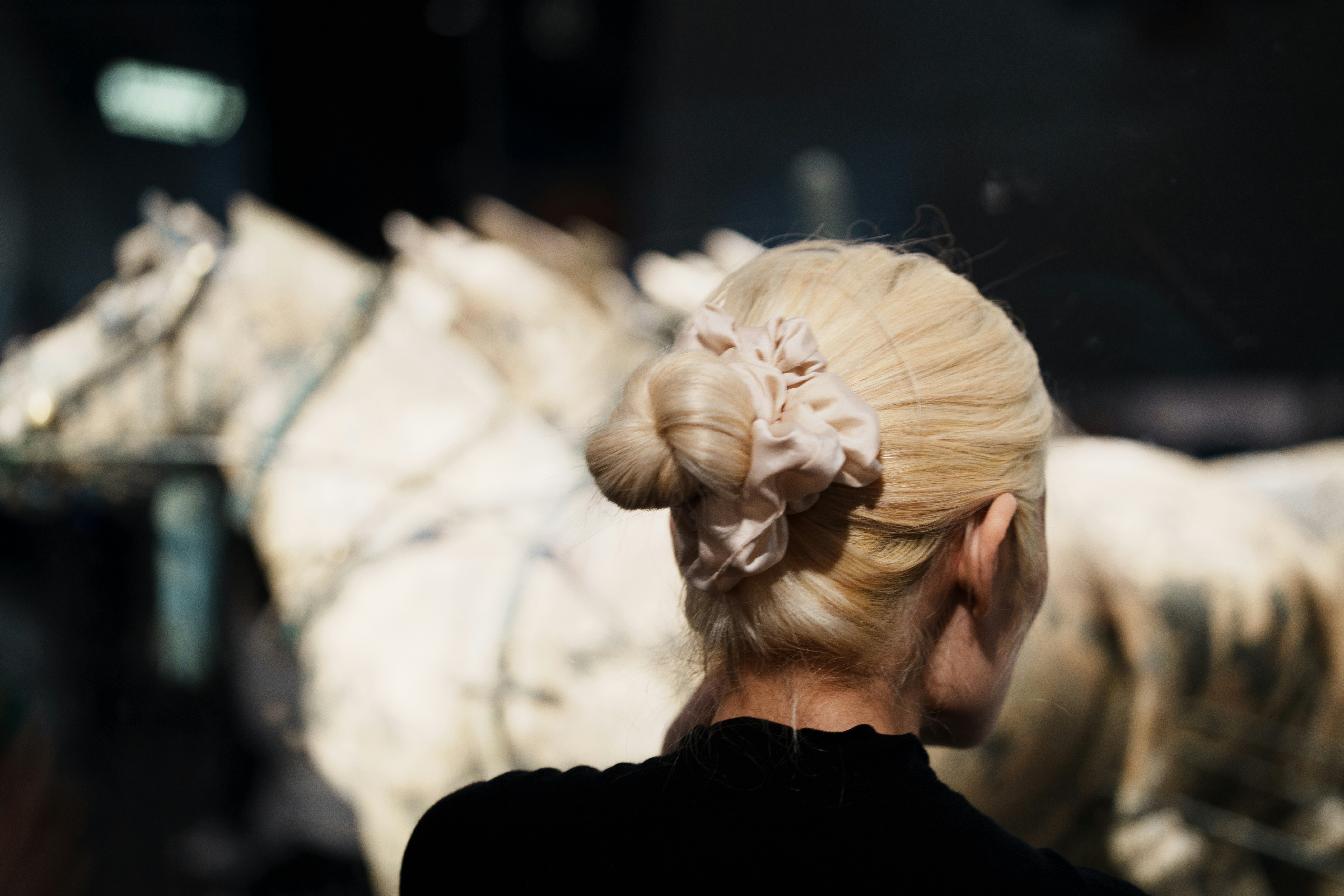 Woman with elegant hairstyle looking at a white horse
