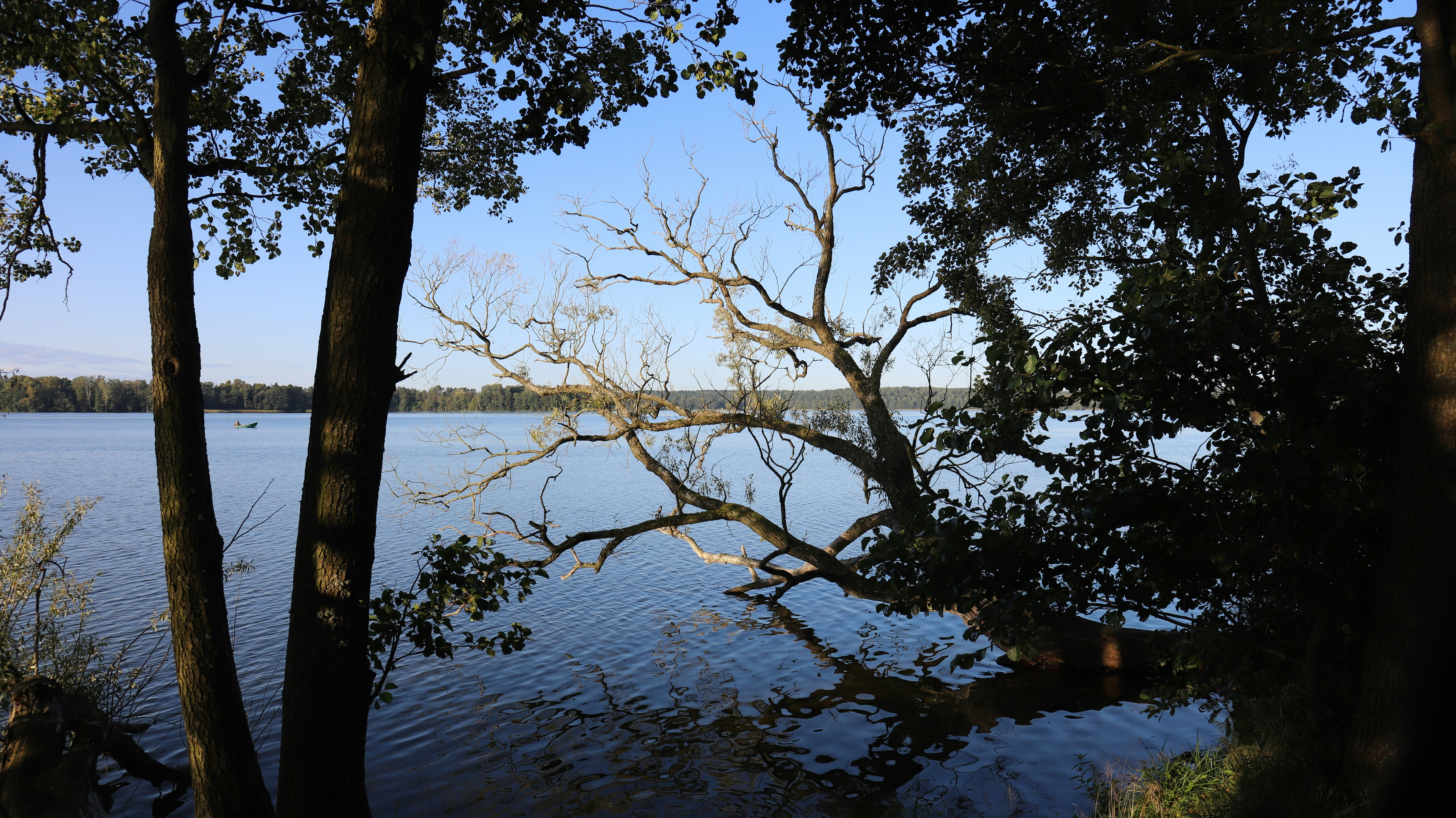 Whispers of the Waterside