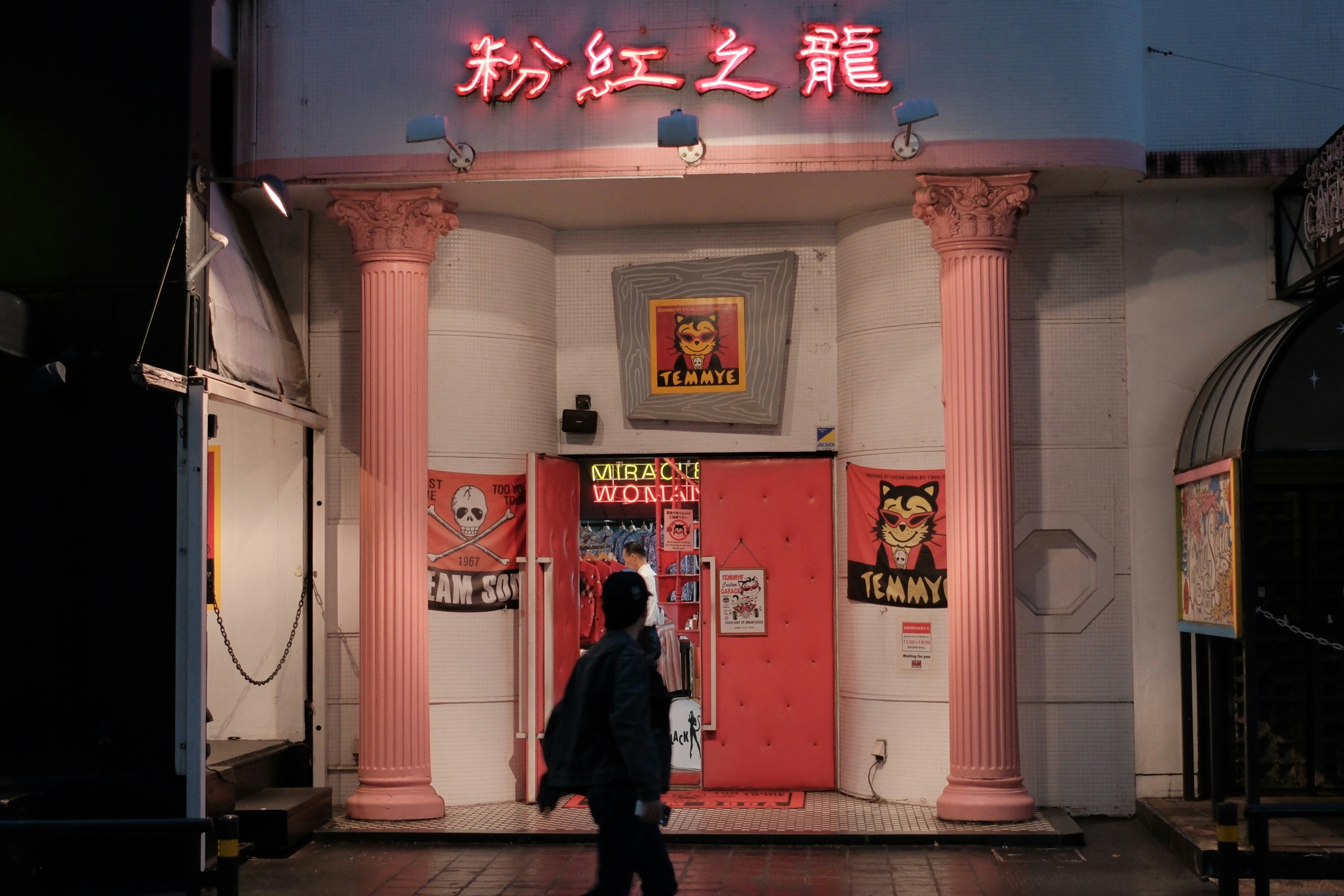 Neon Reverie: The Doorway to Curiosity