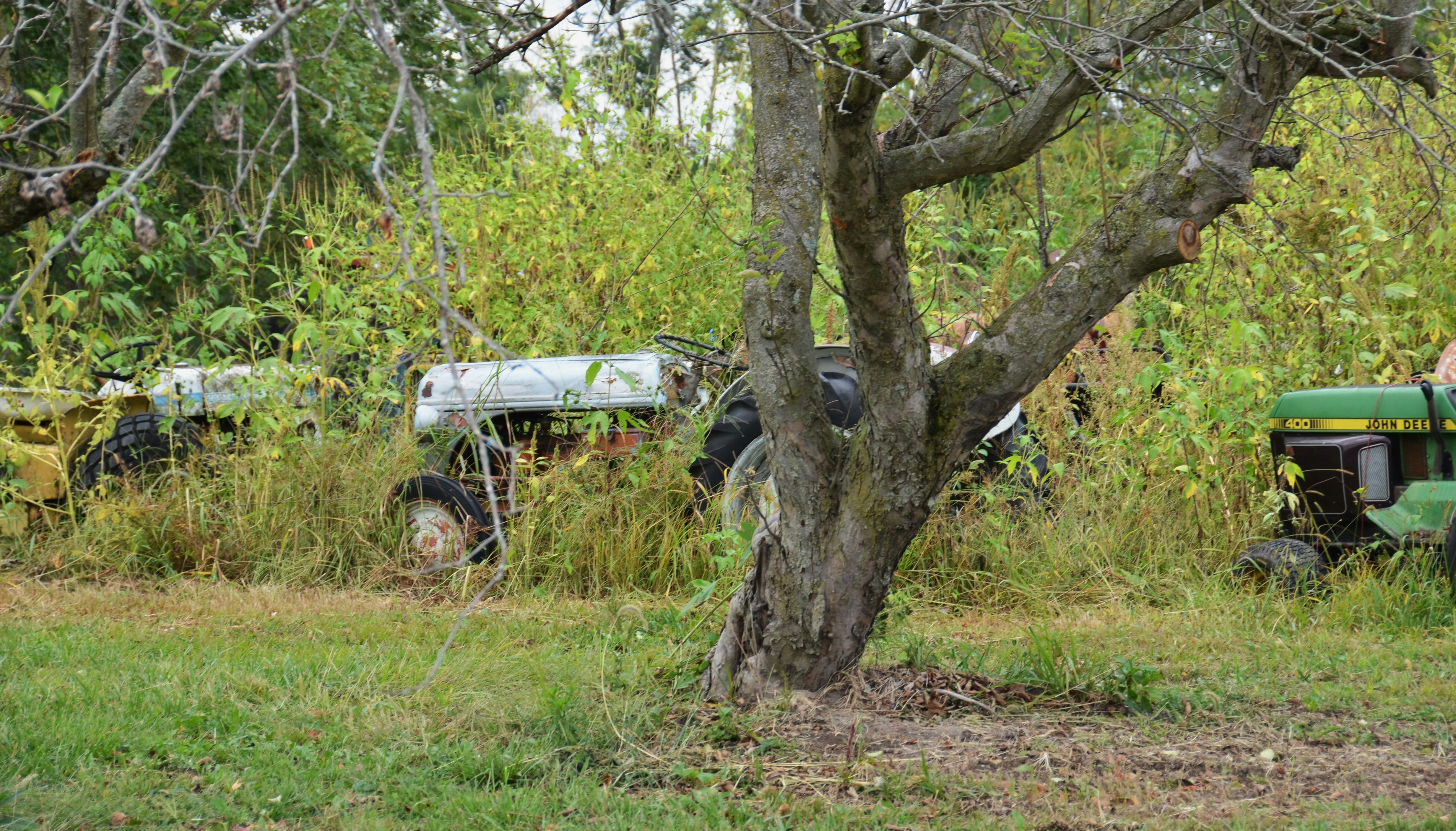Whispers of the Past: Abandoned Tractors Amidst Nature's Embrace
