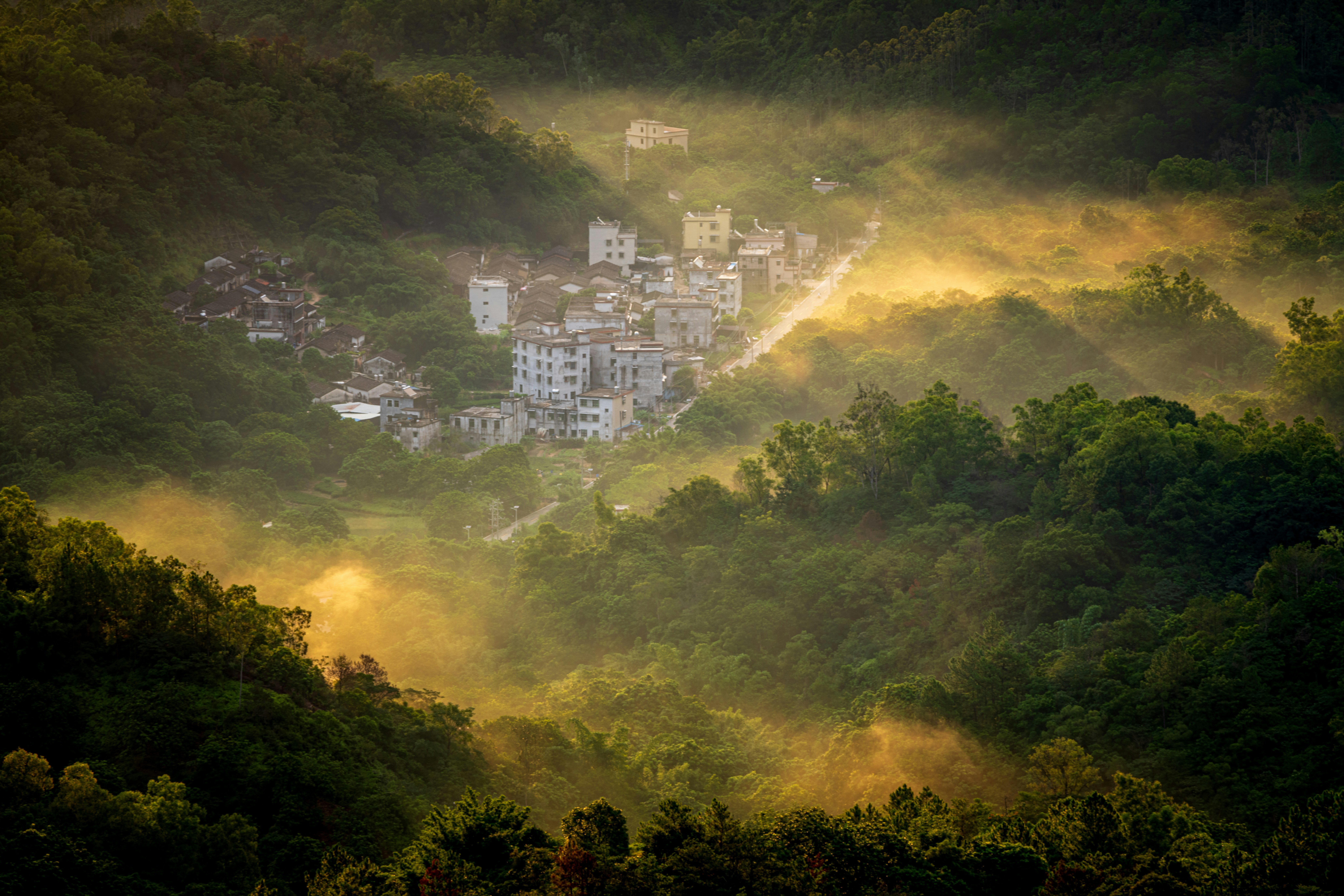 Whispers of the Misty Valley