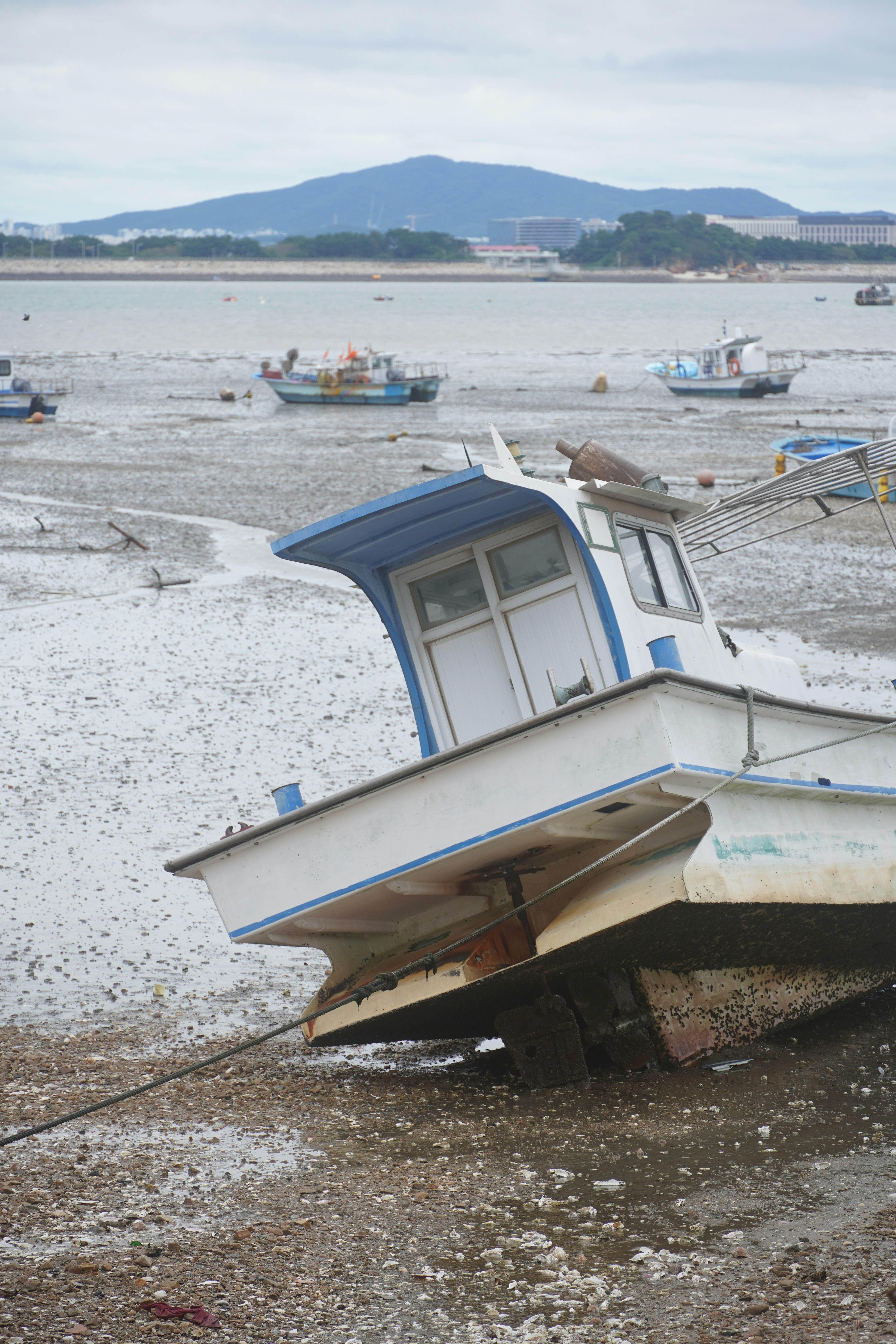 The Forgotten Vessel: A Story of Erosion and Time