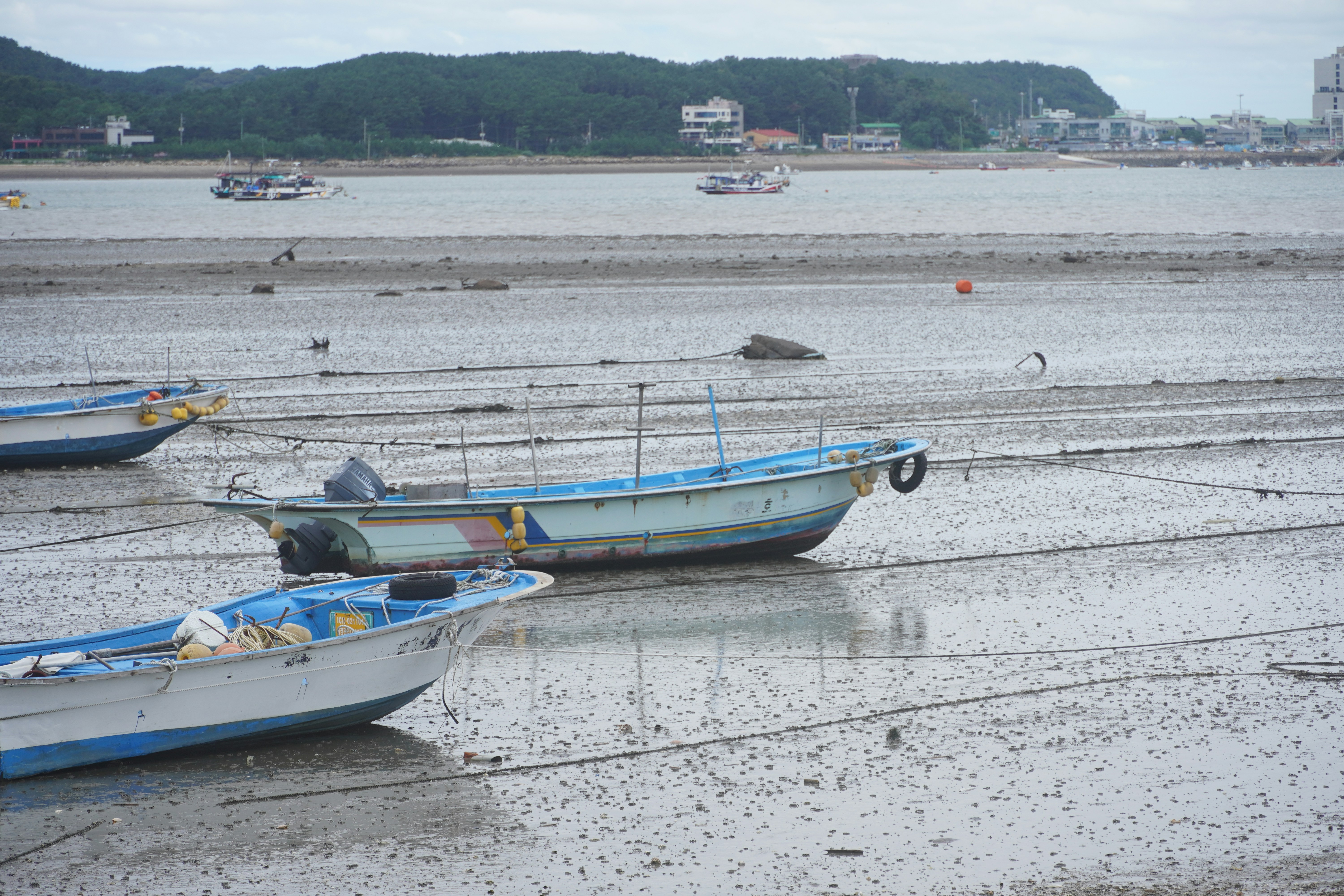 Tide's Embrace: Boats at Rest