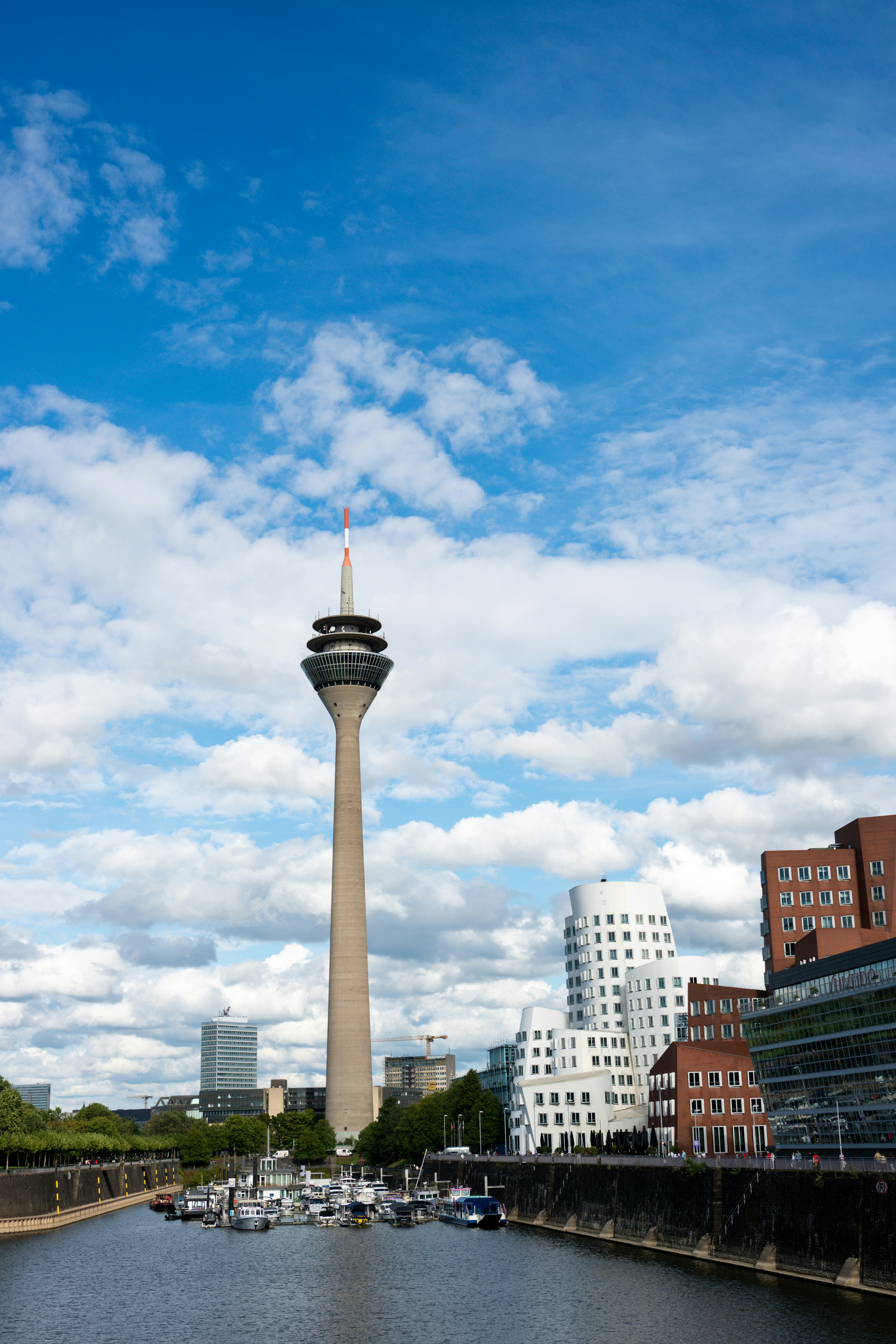Urban Skyline: A Towering Presence Amidst Modern Architecture