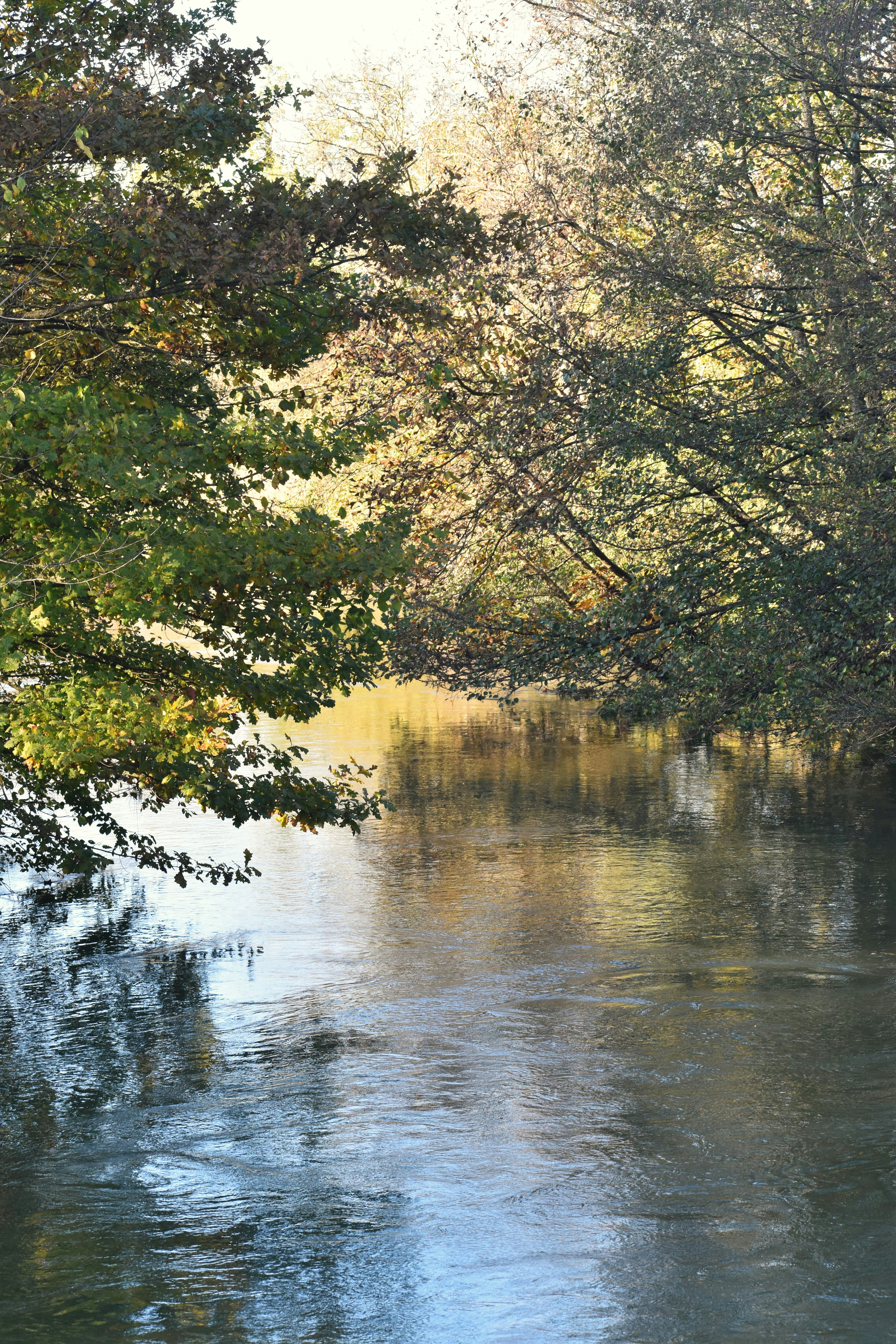 Whispers of Autumn Reflections