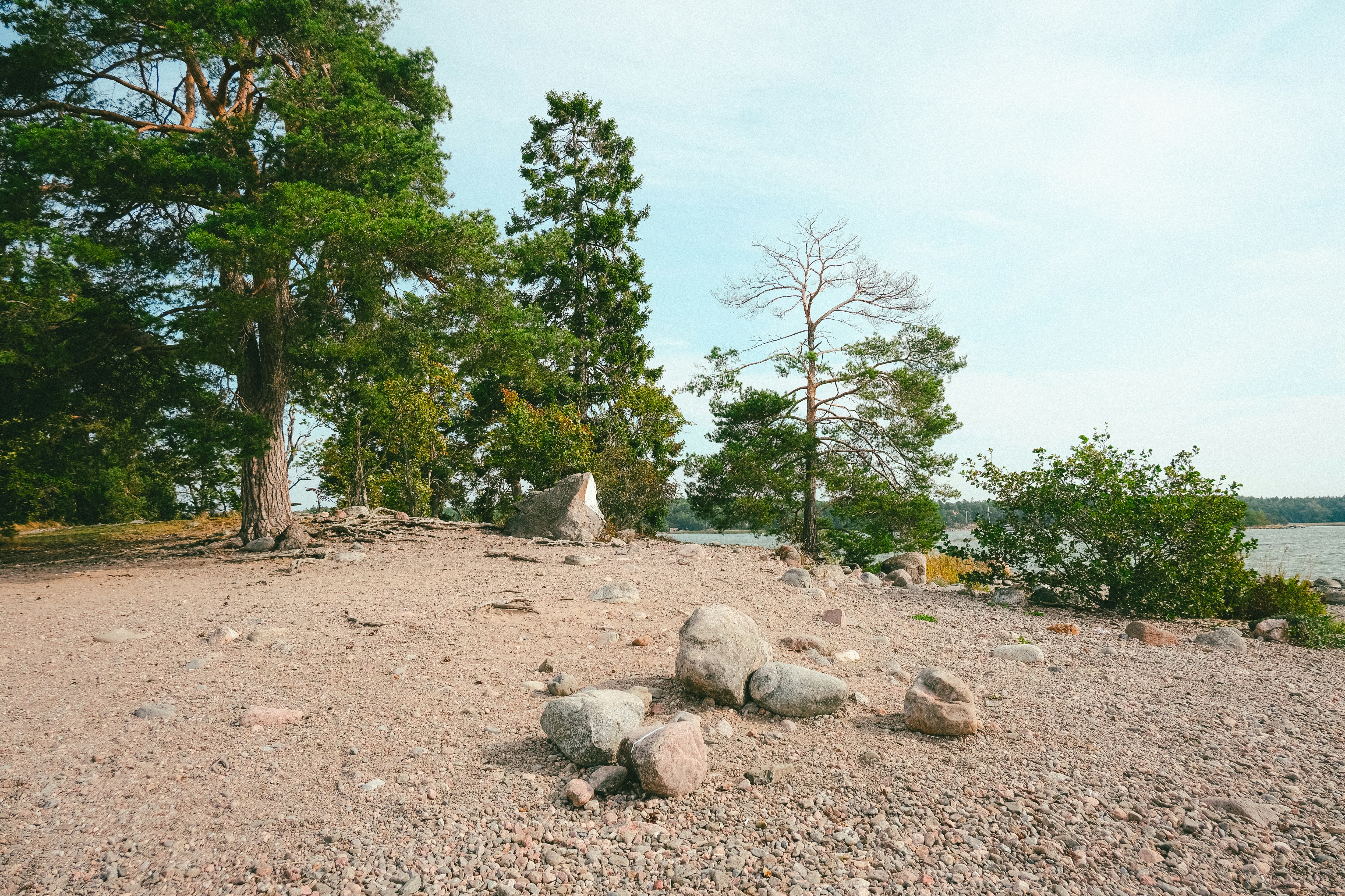Ruissalo is a picturesque island located just southwest of Turku, Finland, and is easily accessible from the city. Known for its ancient oak forests—some of the largest in Finland—the island is celebrated as both a natural haven and a cultural treasure. | Rocky shoreline with pine trees and calm water.