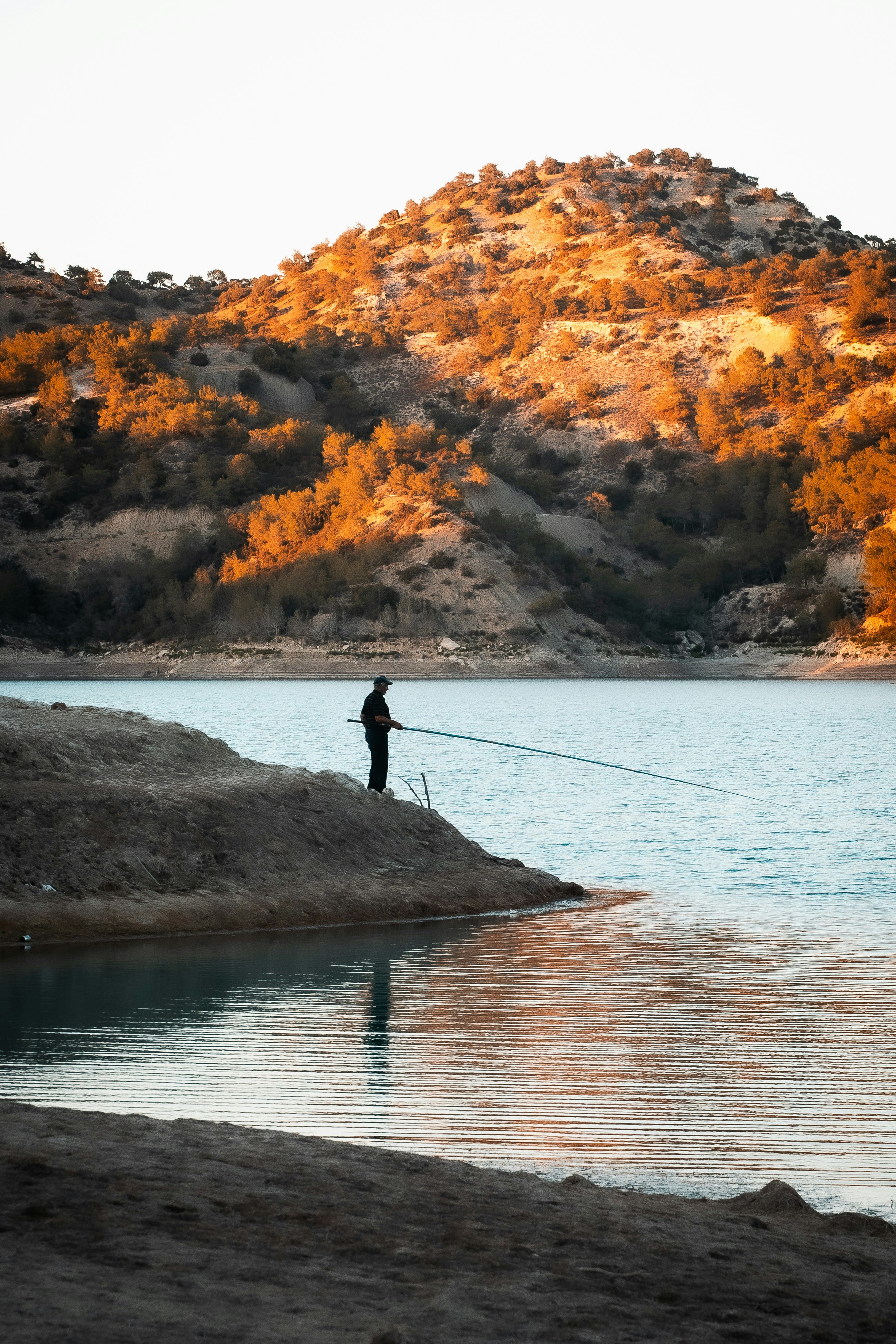 Serenity on the Water's Edge
