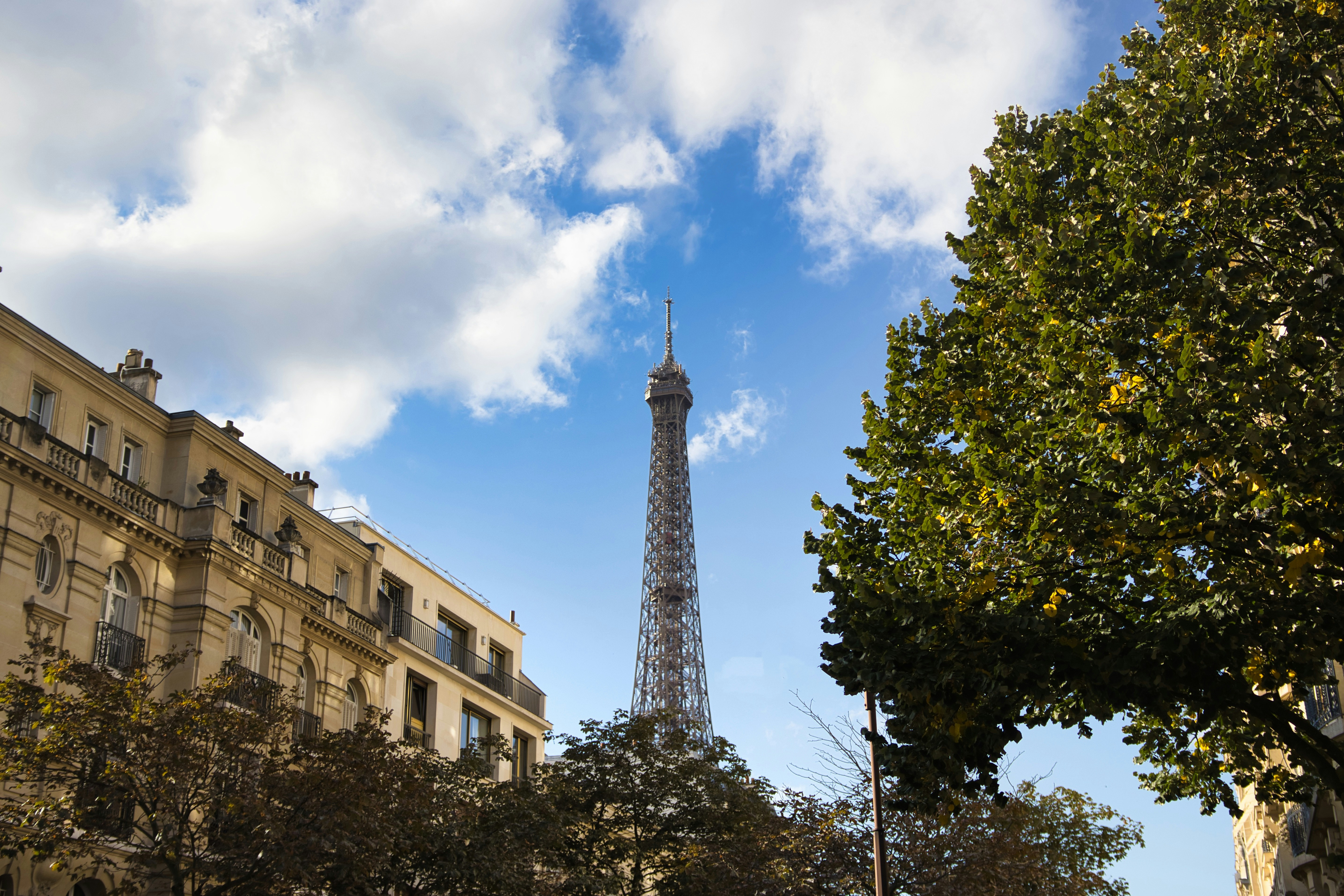 Eiffel tower seen through trees and buildings