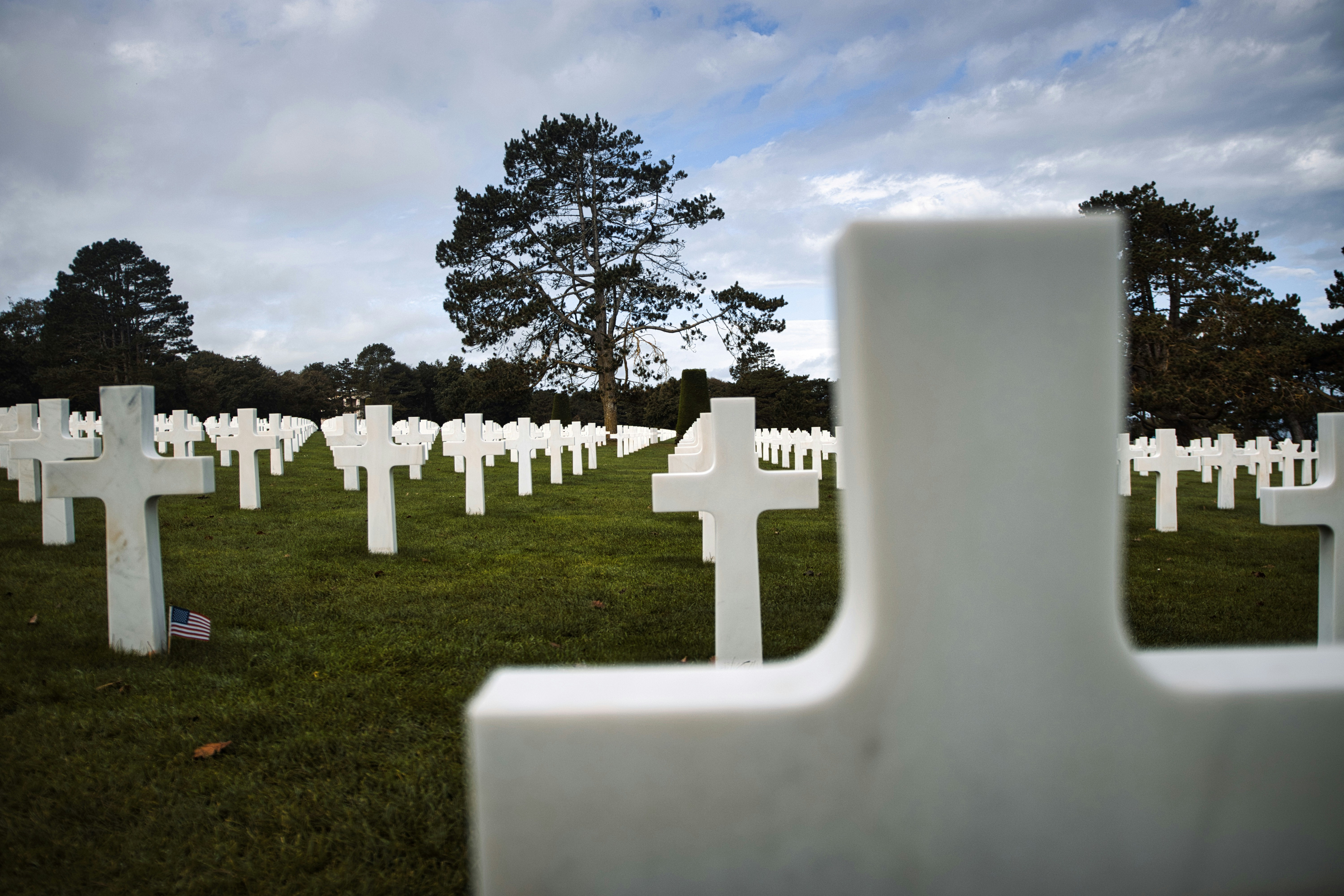 Echoes of Remembrance in Silent Fields
