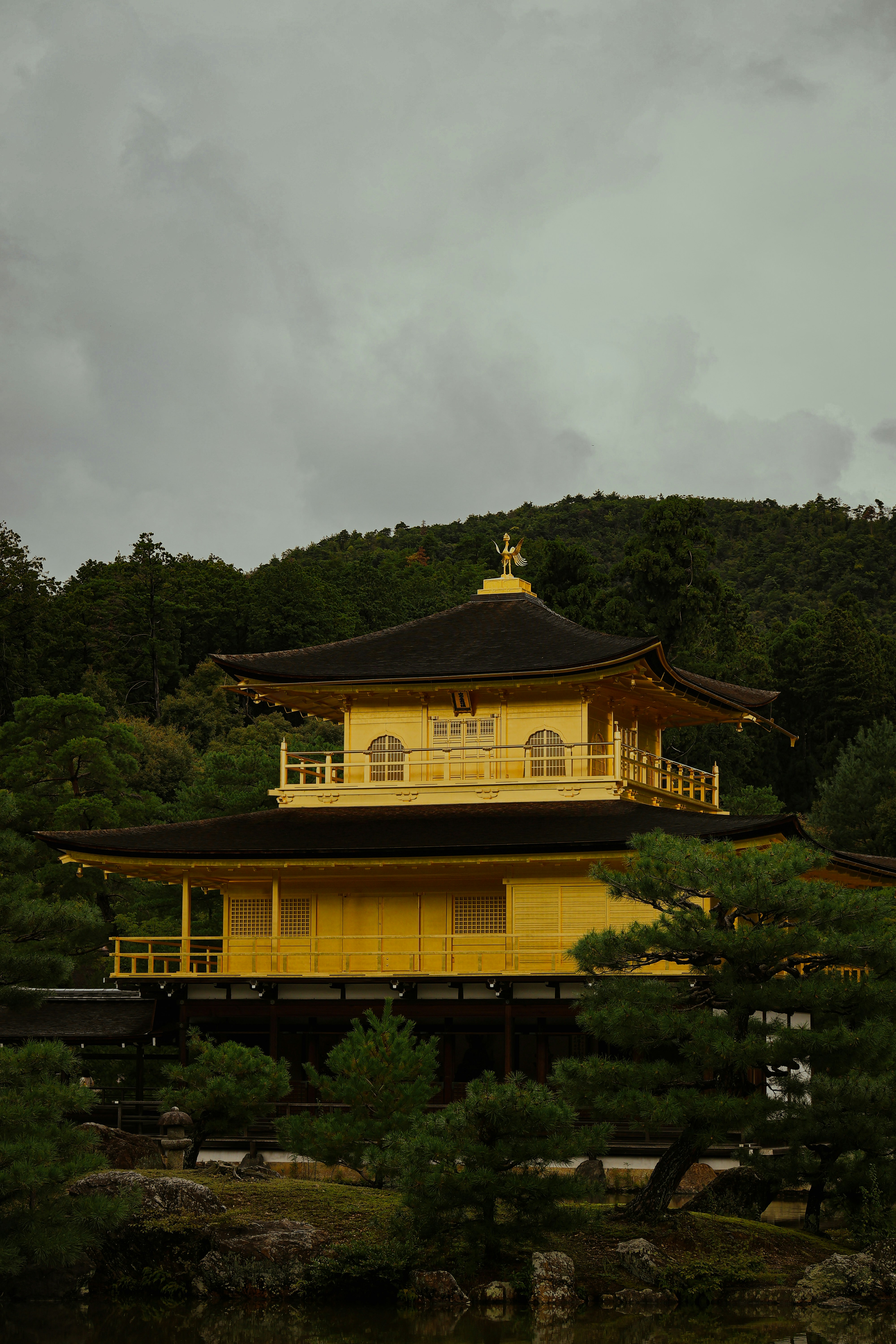 Golden Serenity Amidst Nature's Embrace