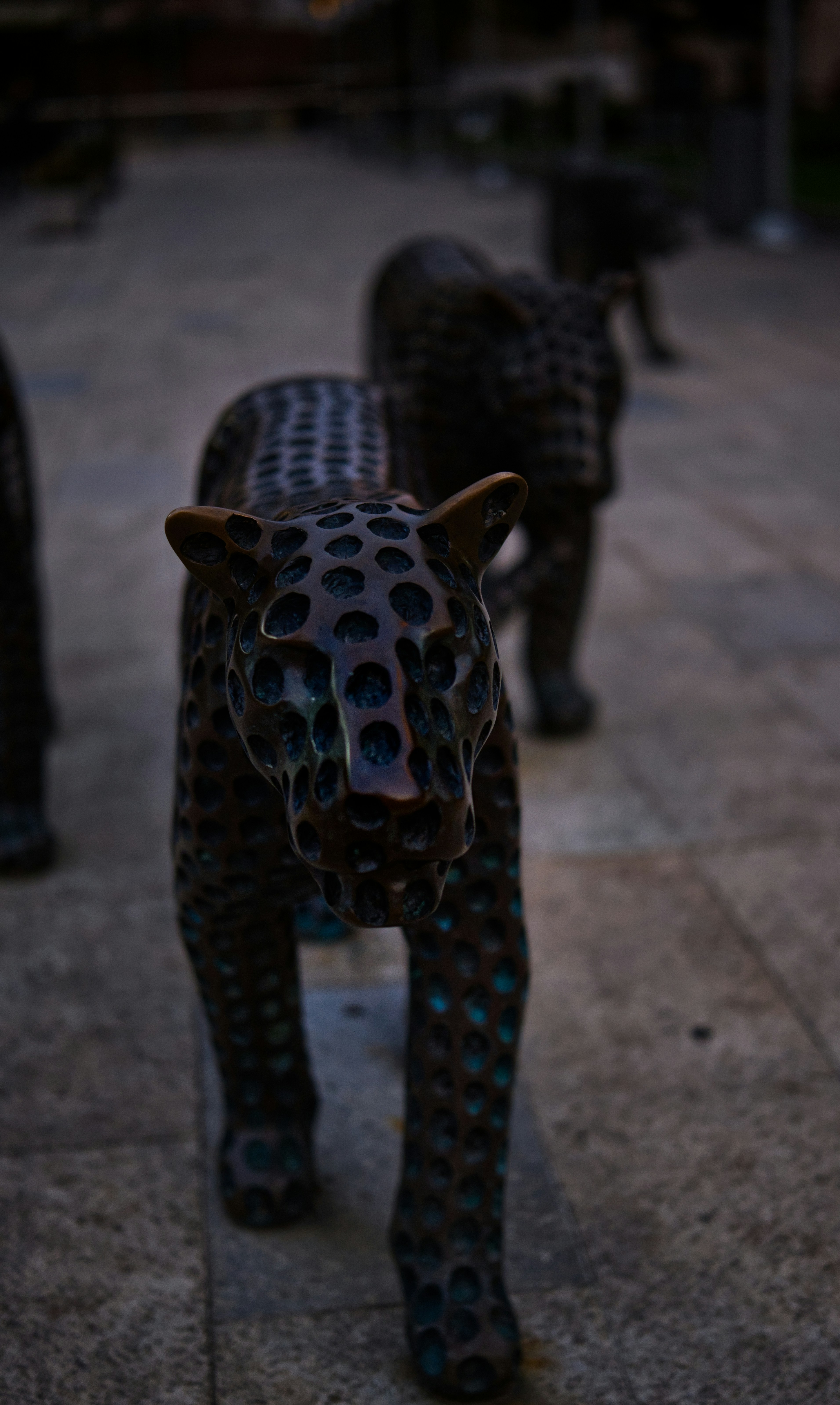 The Intricate Gaze of the Bronze Leopard
