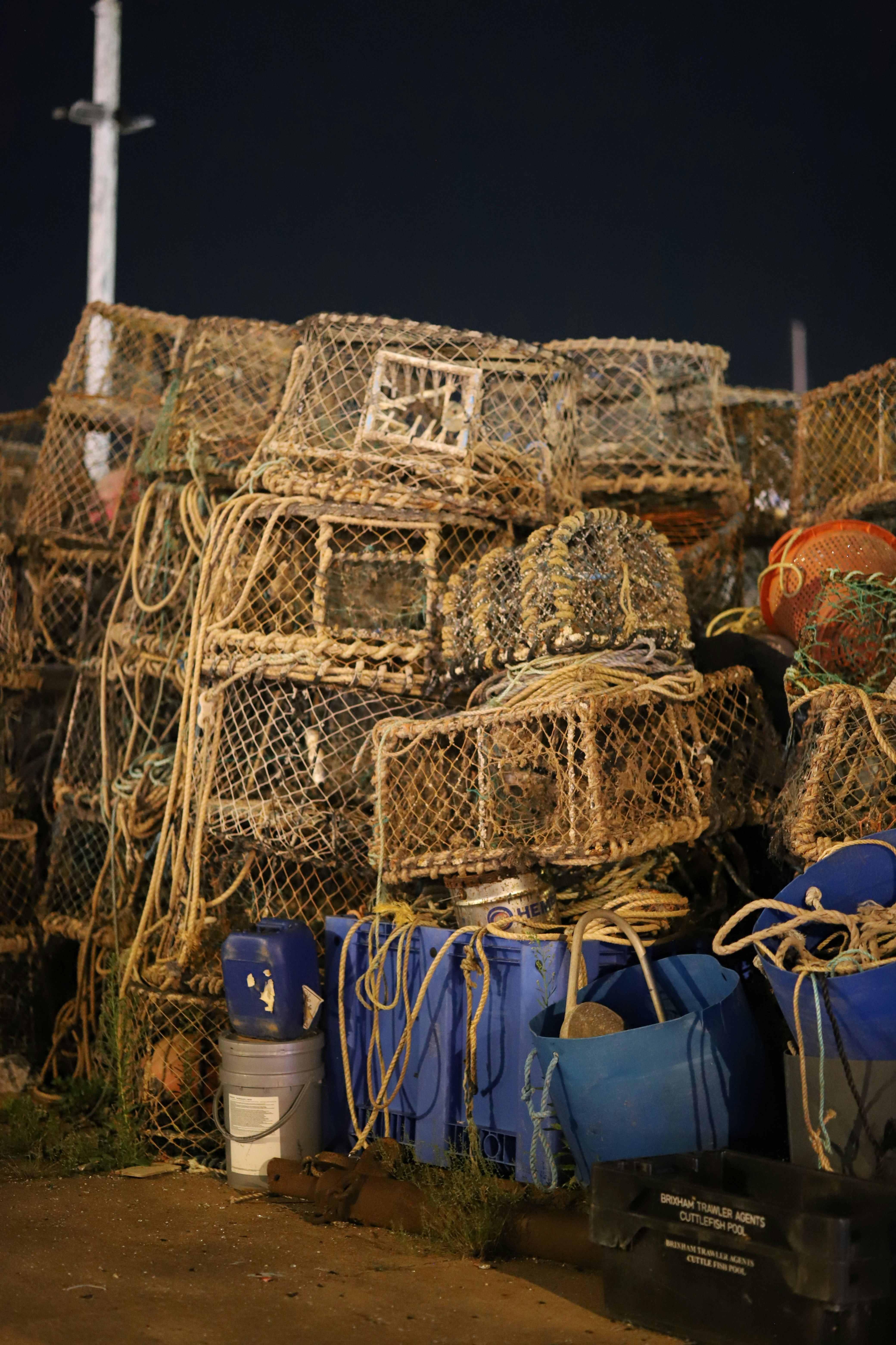 Tangled Tales of the Ocean's Harvest