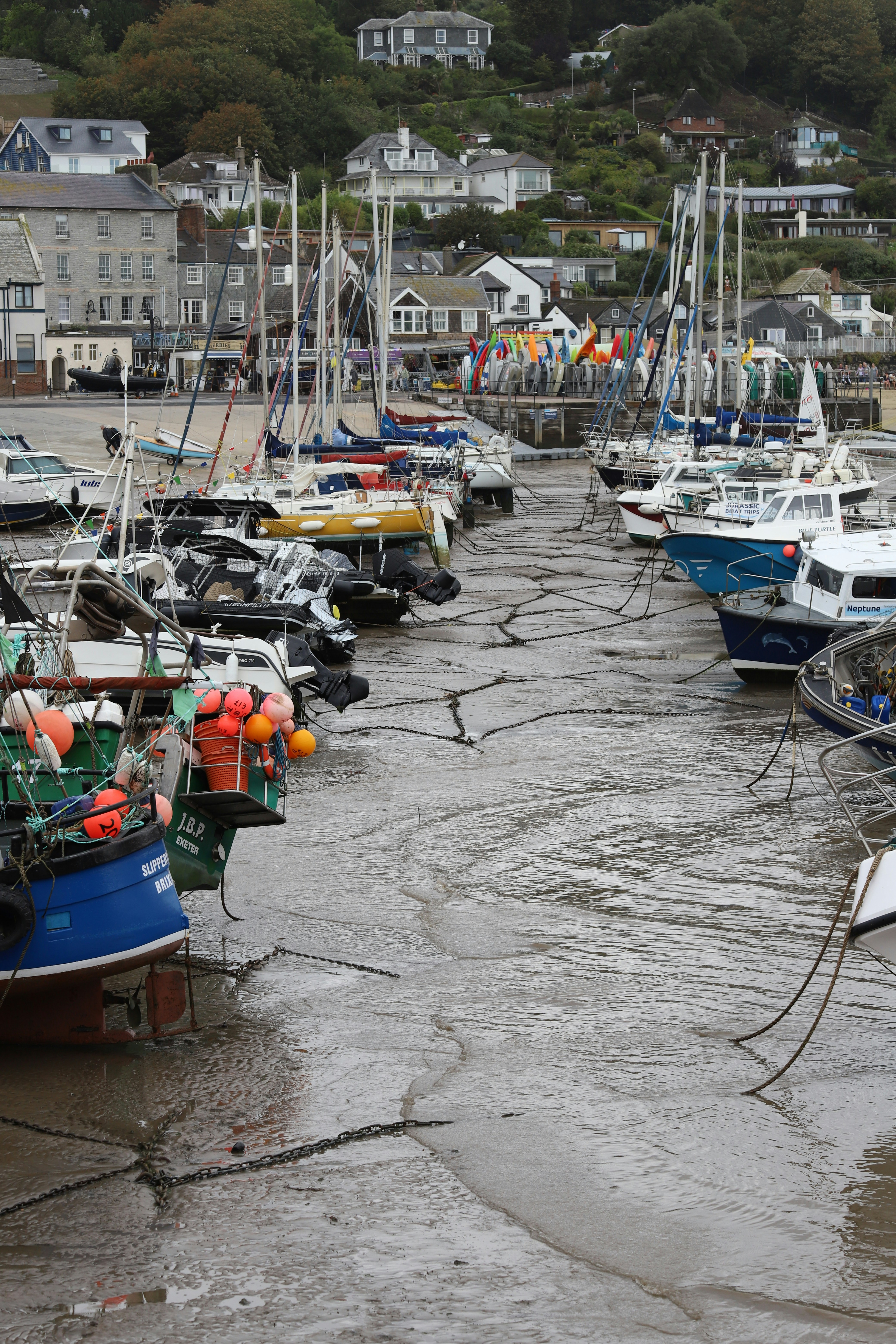 Tidal Serenity: A Harbor's Low Water Reveal