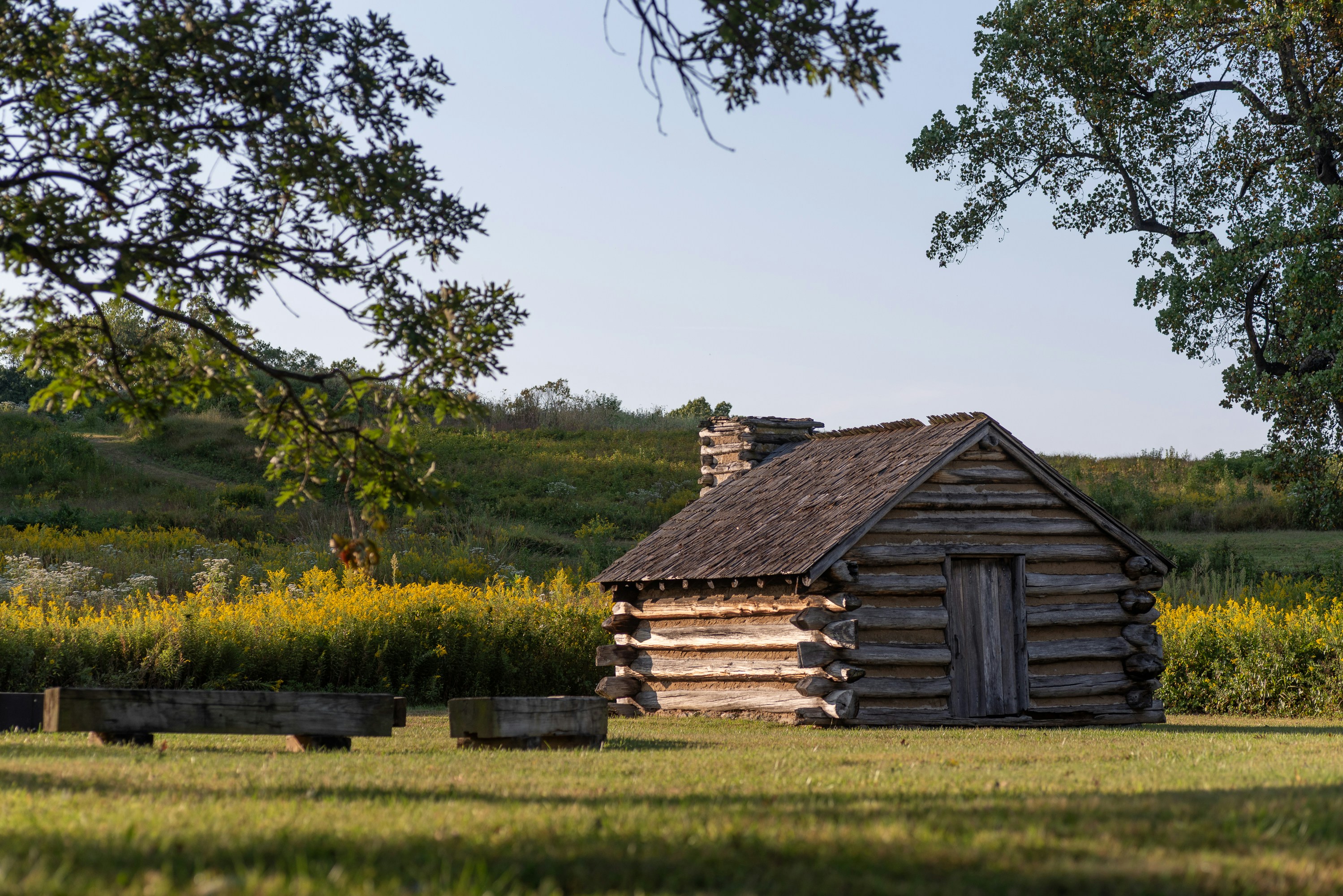 Rustic log cabin in a grassy field with trees.