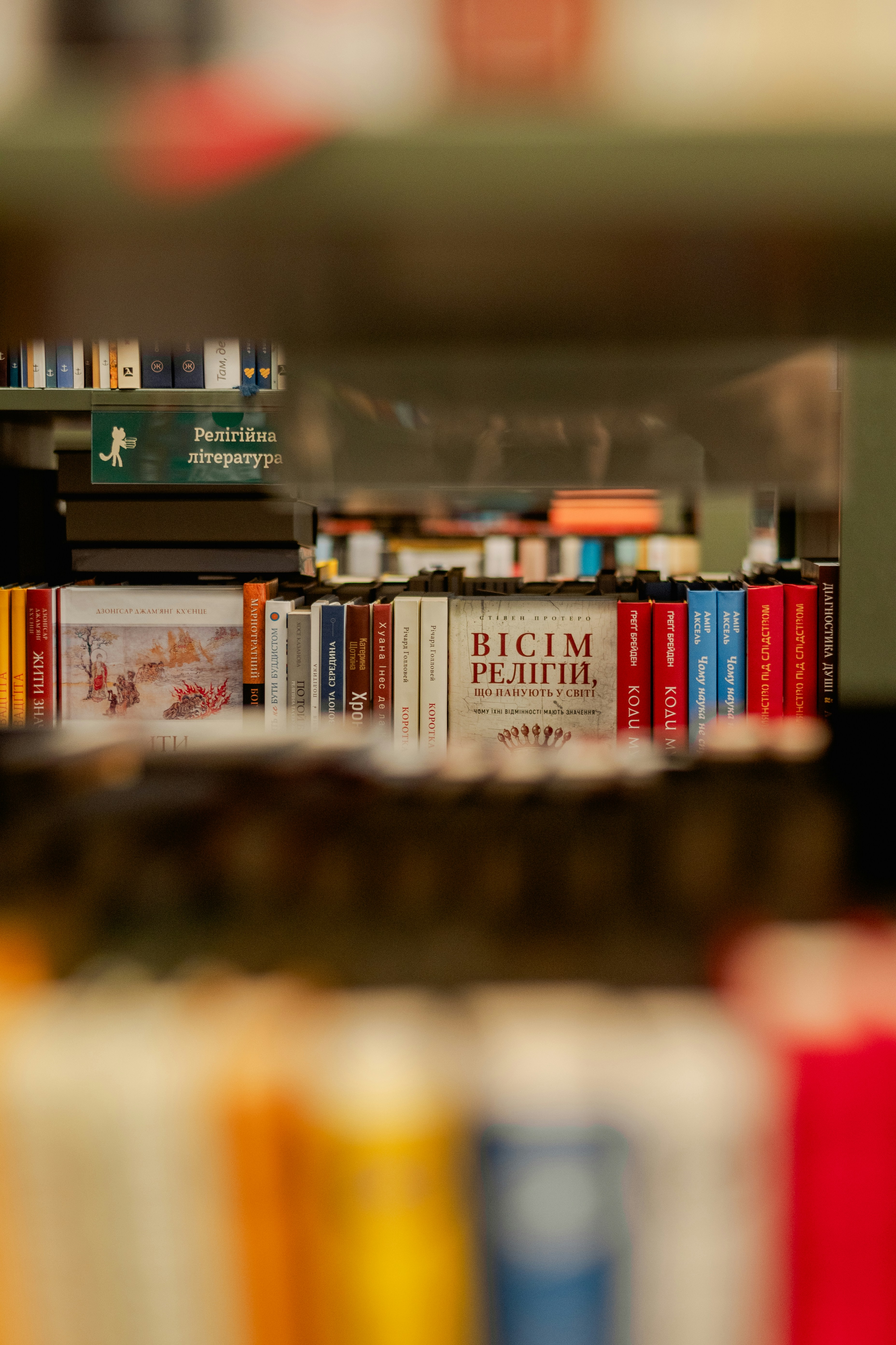 A Literary Haven: The Heart of Knowledge