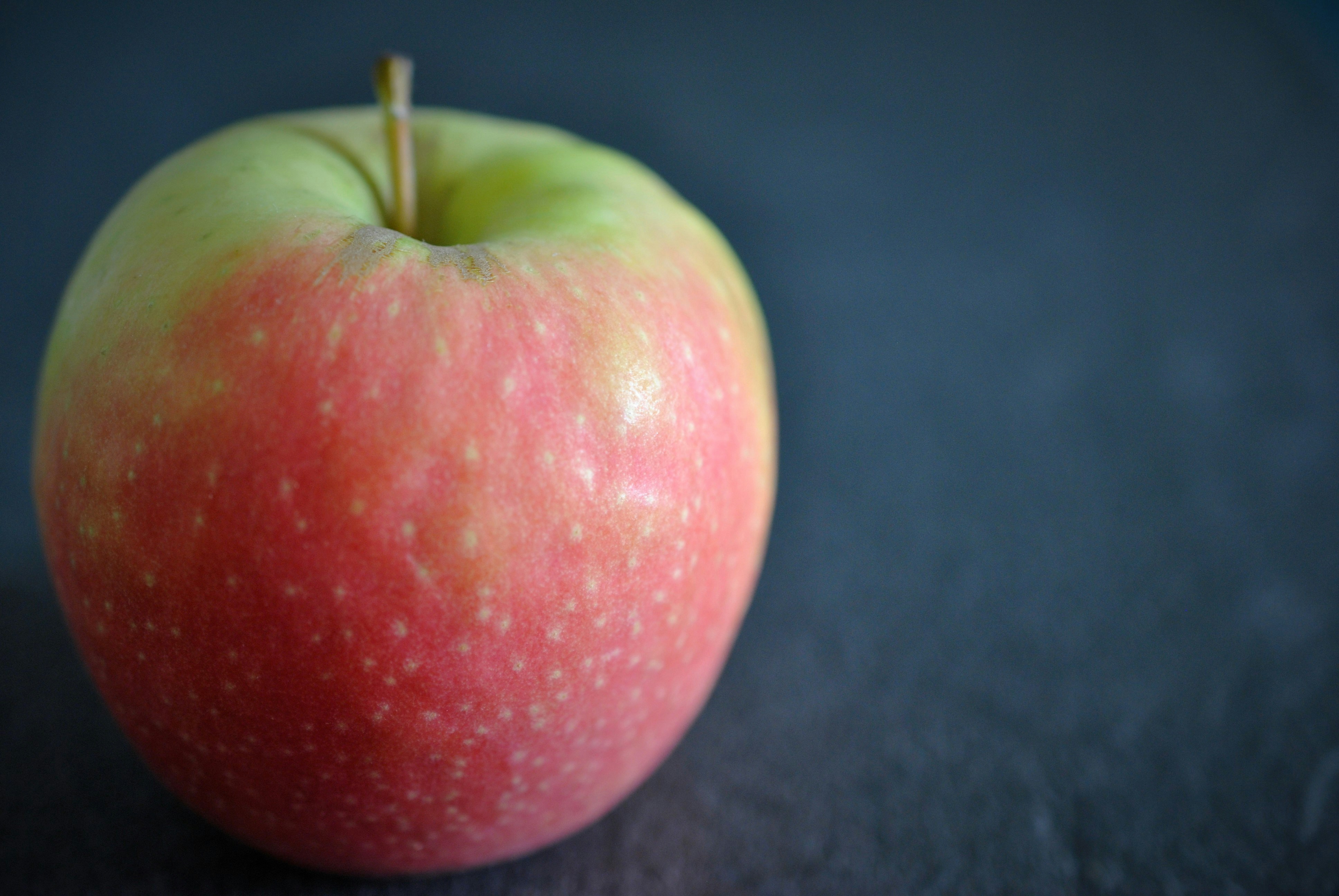 Apple | A single red and green apple on a dark surface.
