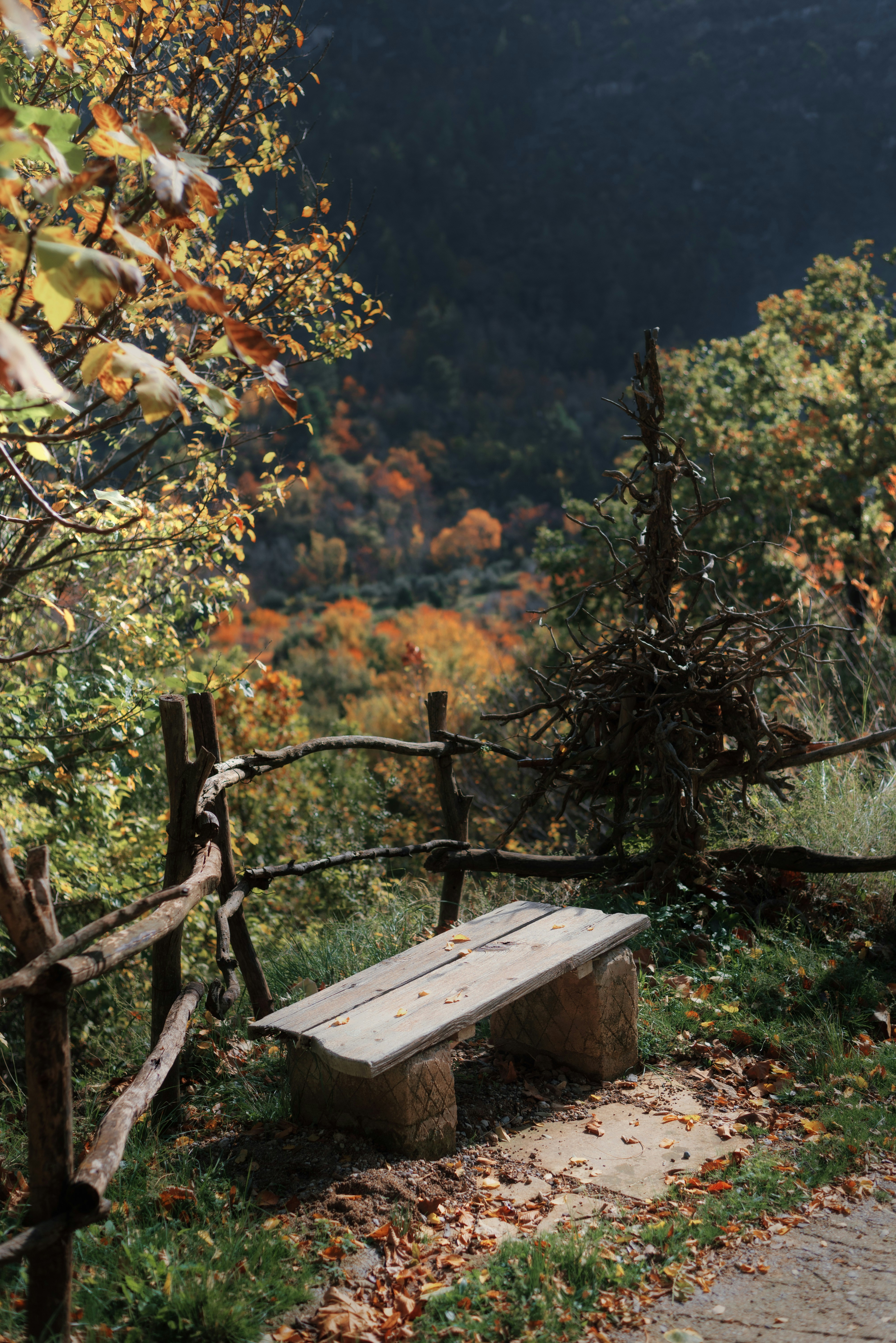Whispers of Autumn: A Tranquil Retreat