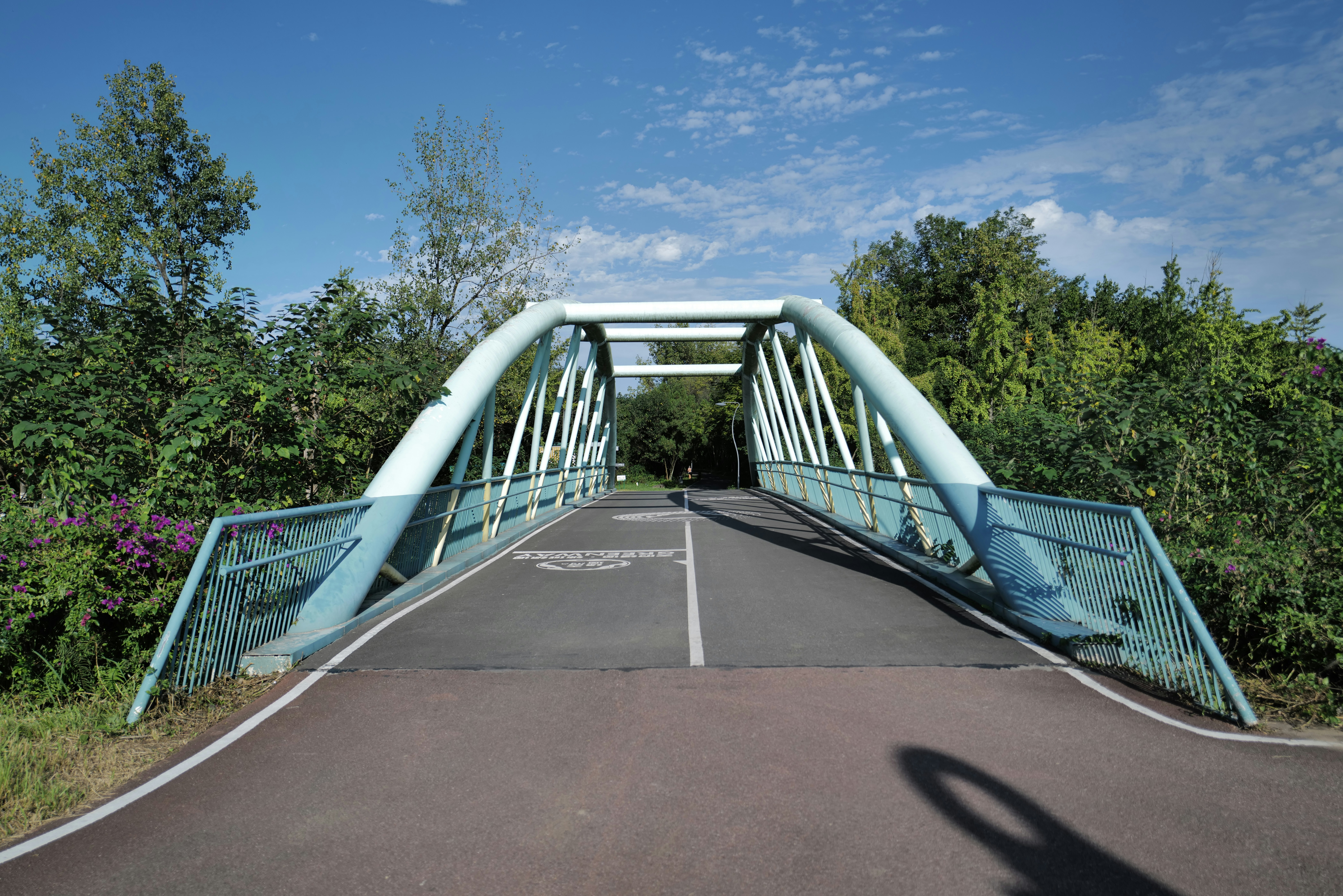 Finlay Bridge (2026) – Best of TikTok, Instagram & Reddit Travel Guide