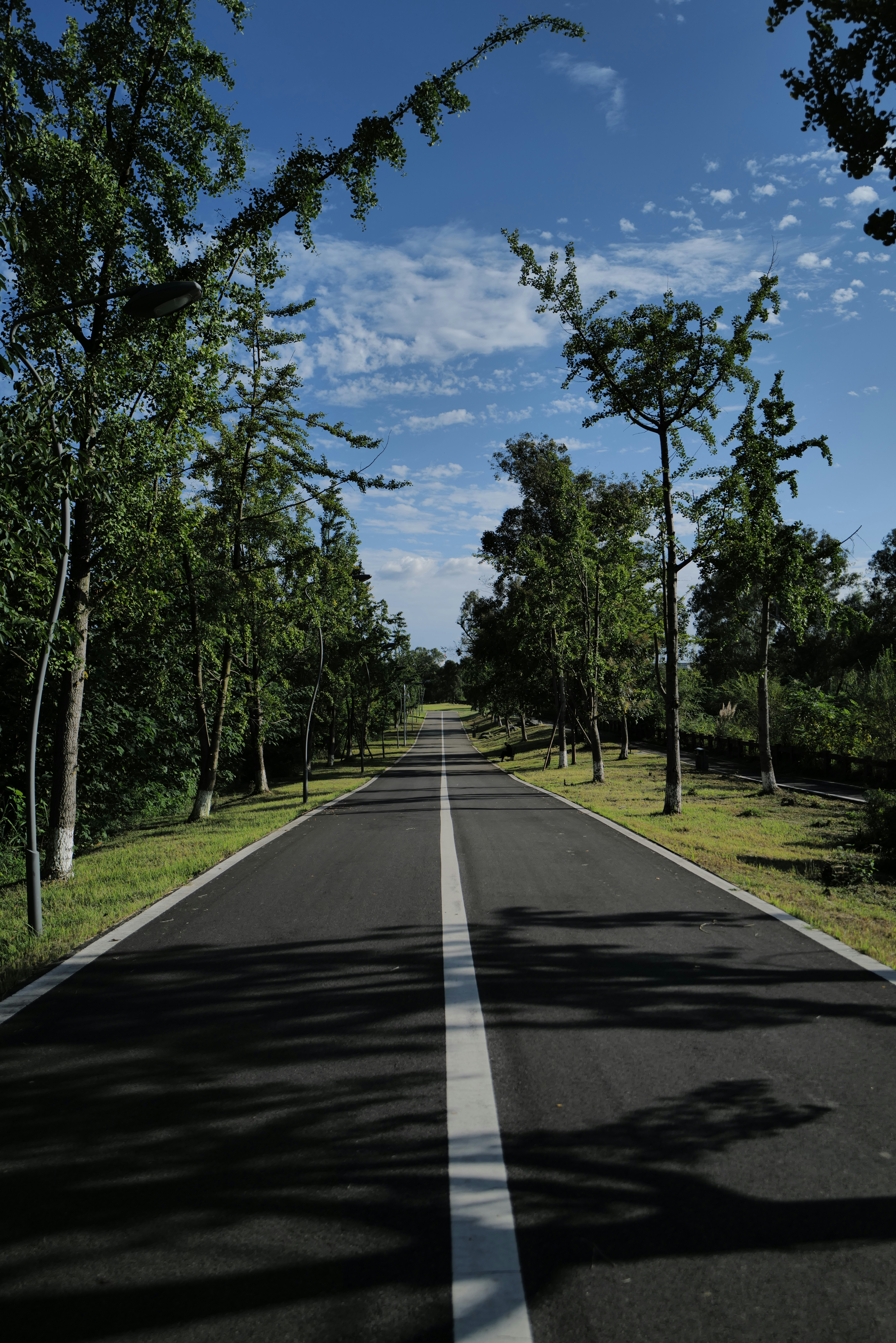 Pathway to Tranquility