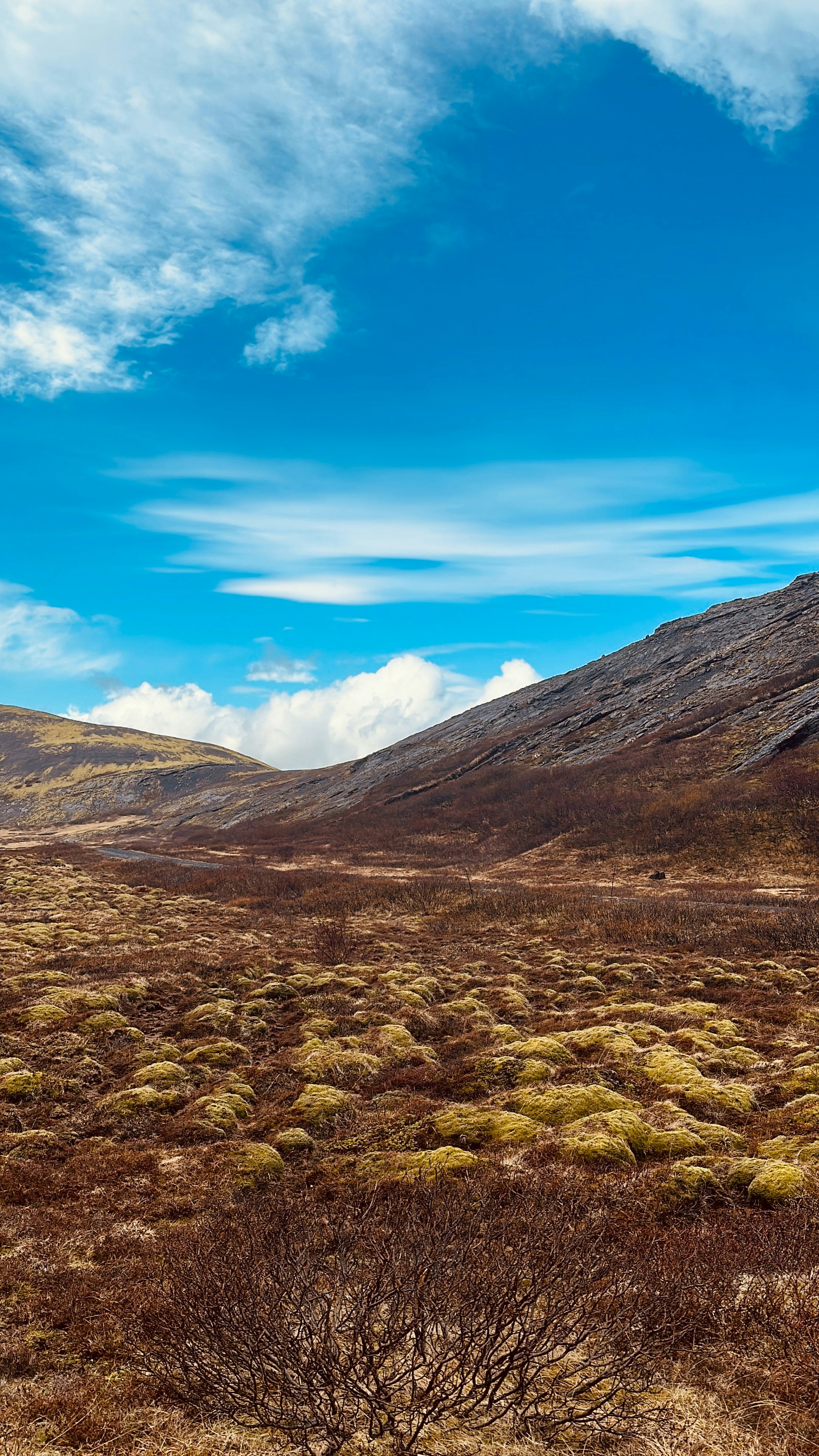 William Duggan (@dugganw) | Unsplashフォトコミュニティ