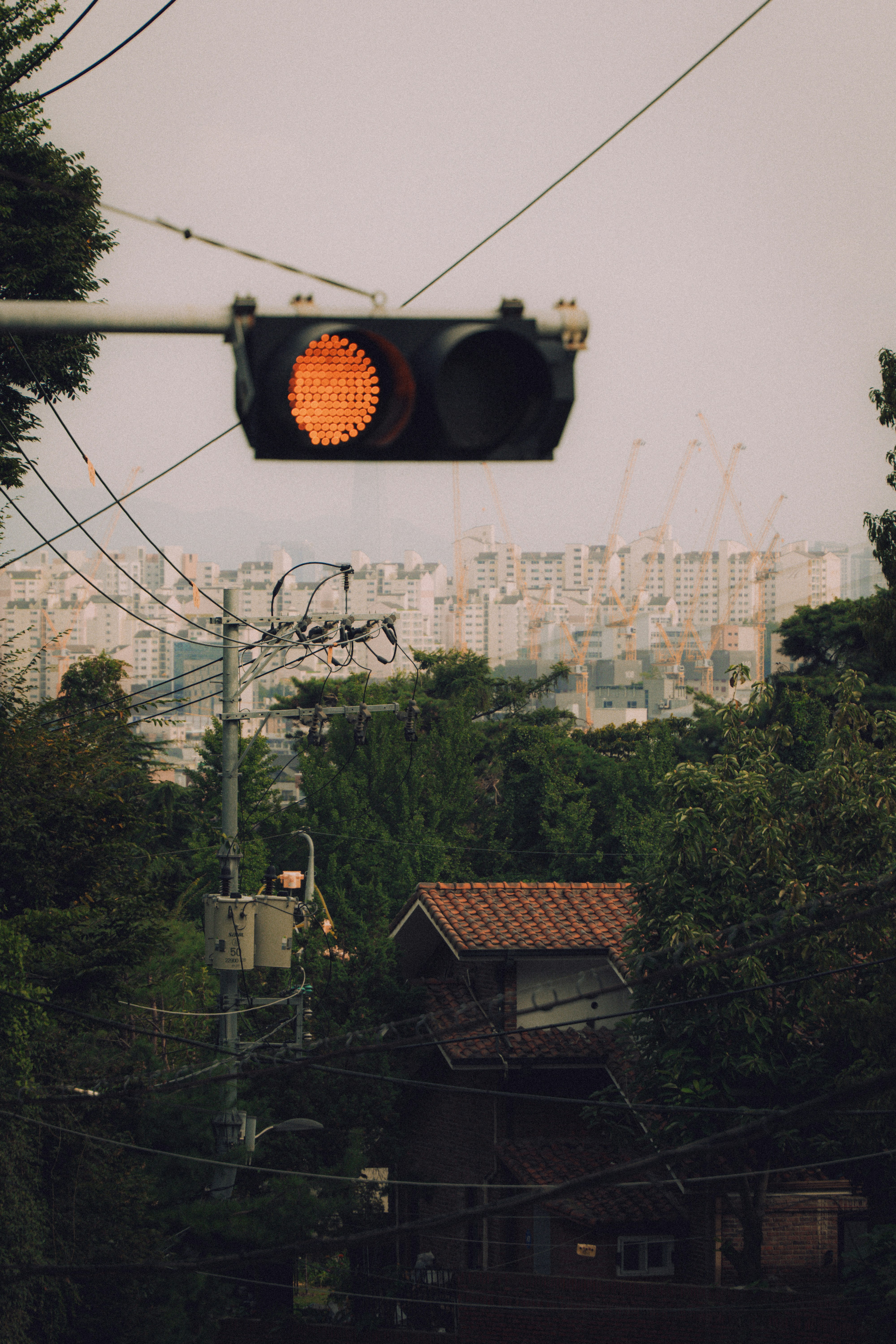 Urban Pause: A Traffic Signal Amidst the Cityscape