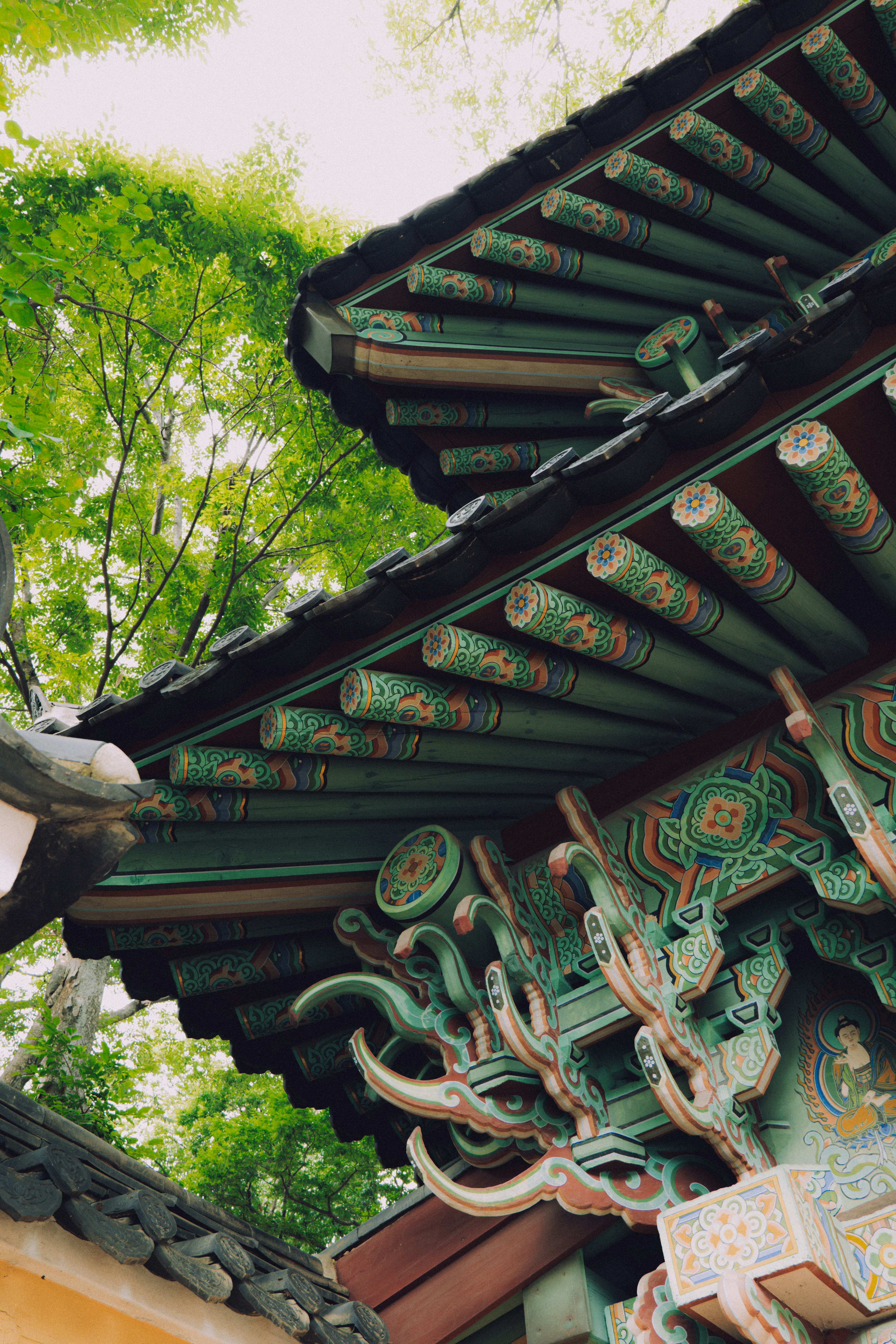 Photo by Brother Yoon with Panasonic Lumix S5