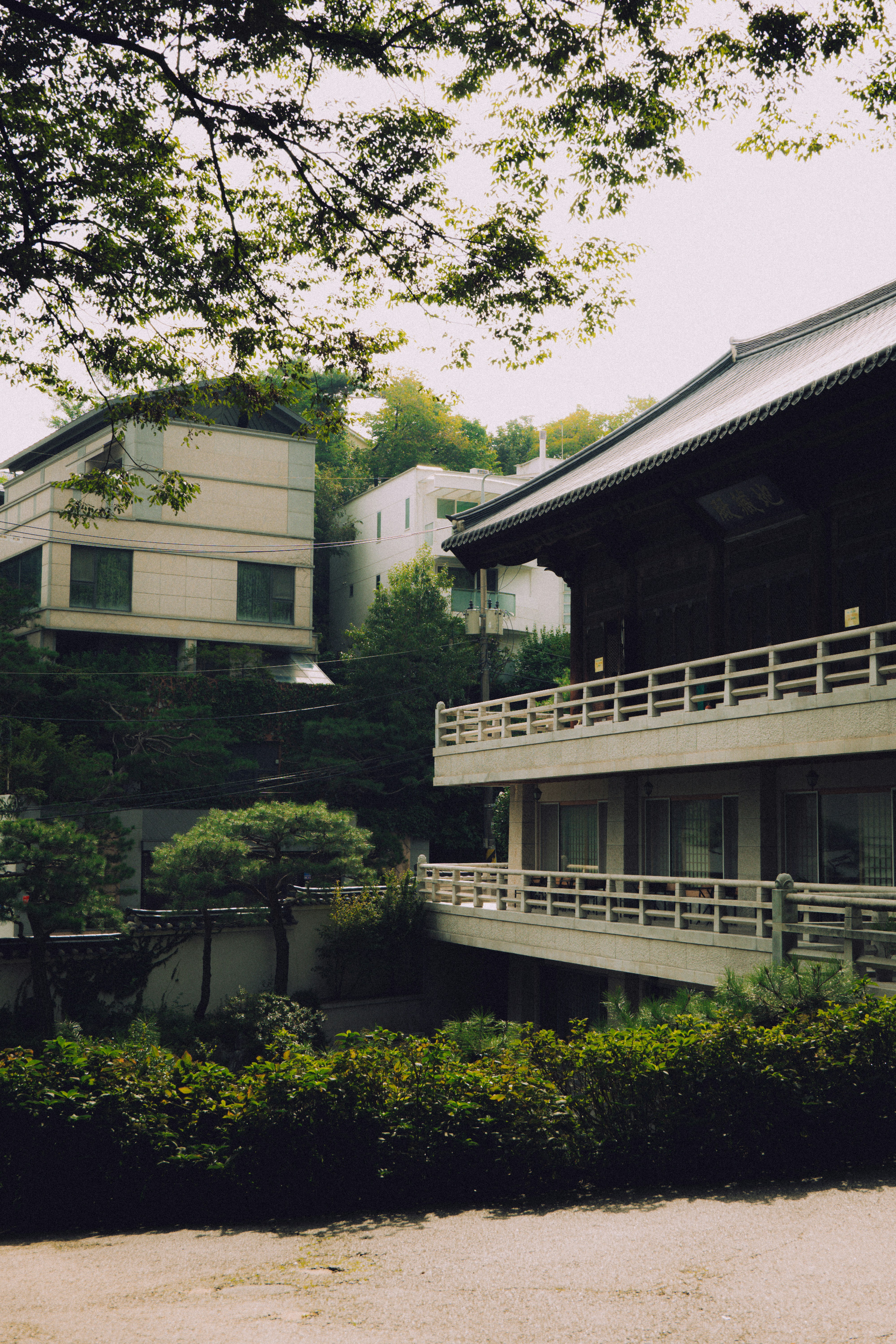 Traditional Japanese architecture nestled among contemporary structures, surrounded by lush greenery.