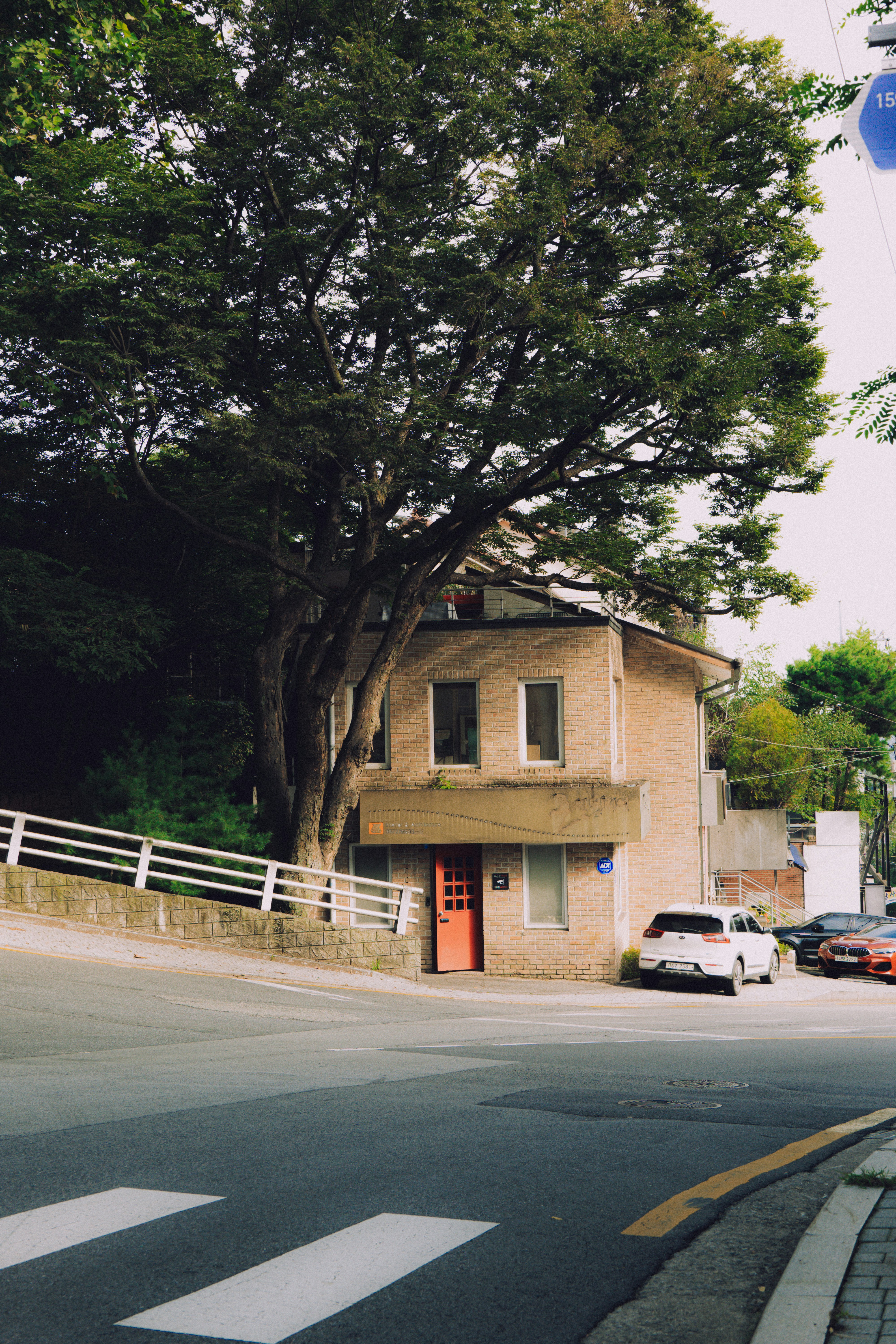 A small building nestled under a large tree.