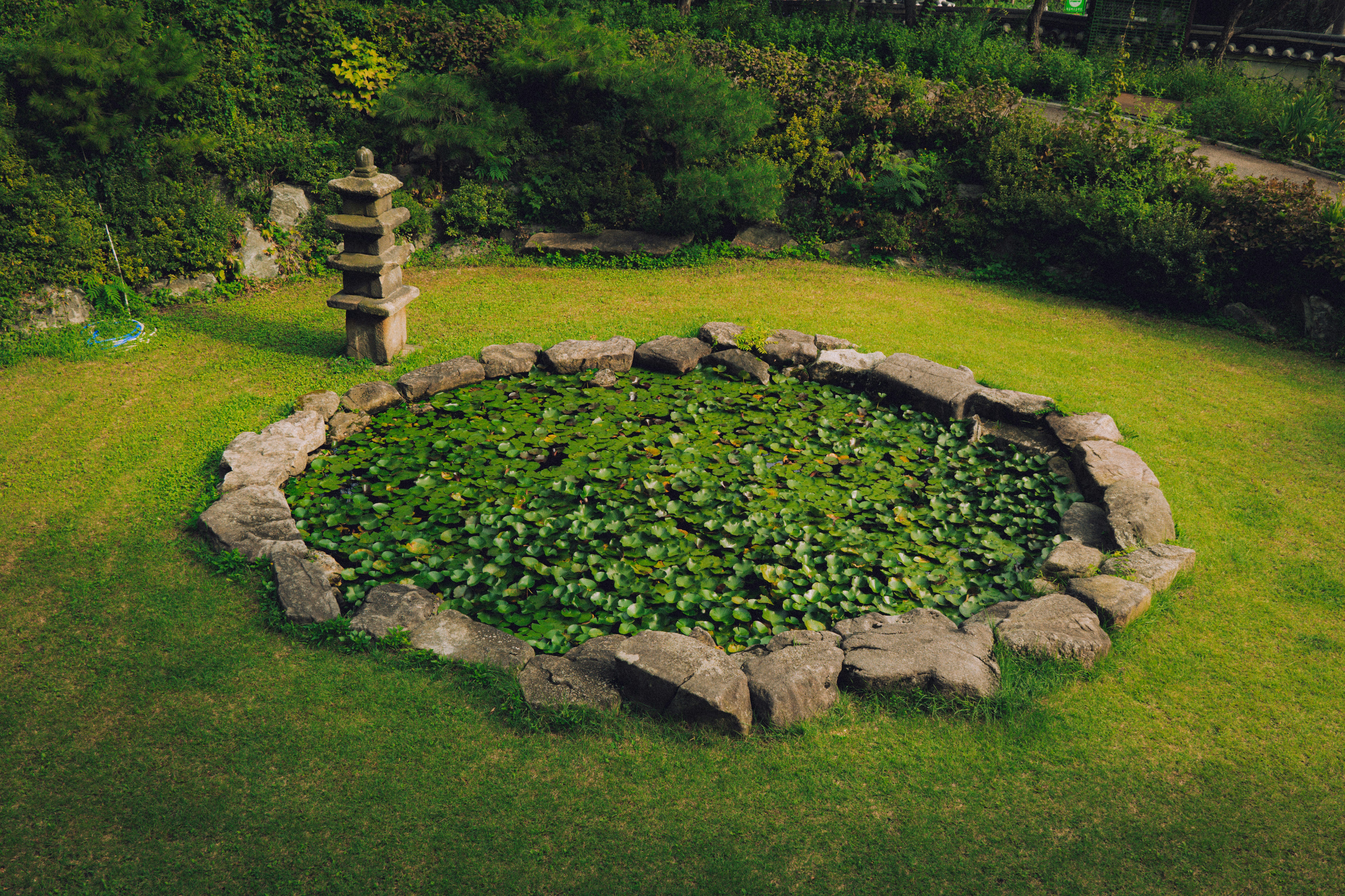 Stone pagoda beside a pond filled with green plants.