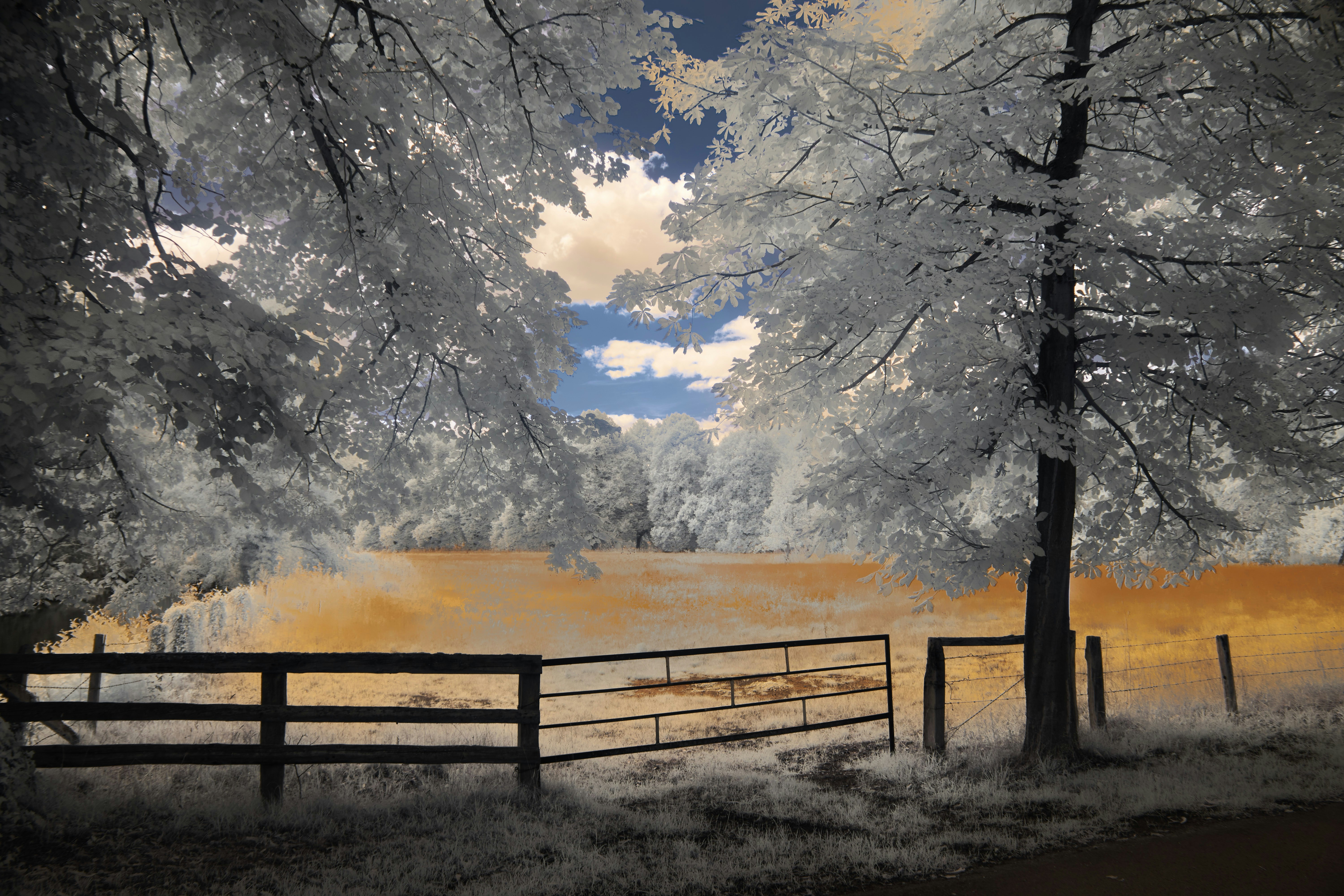 Whispers of an Ethereal Landscape