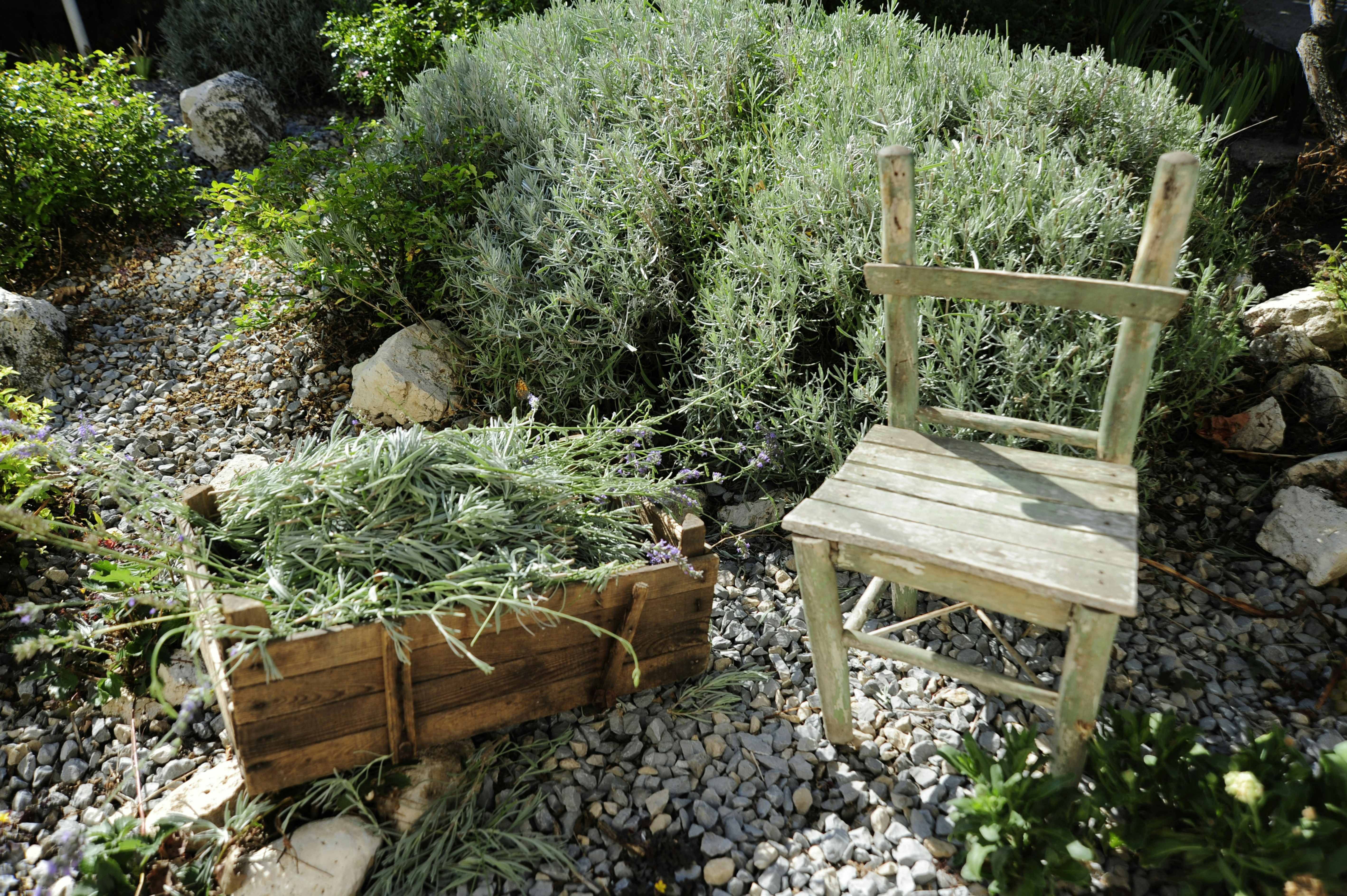 Photo by JOGsplash with Nikon D700