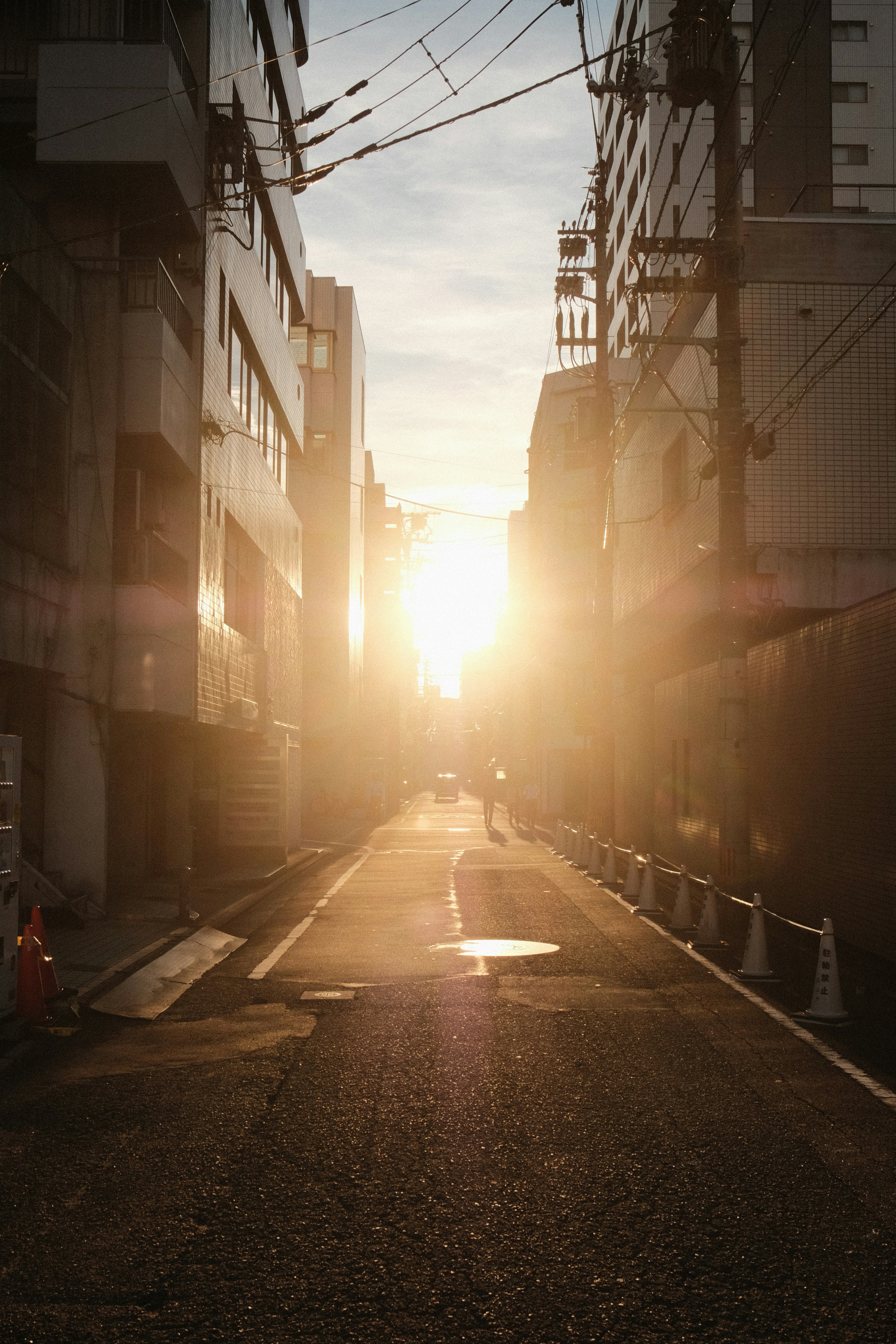 Sunlight streaming down a narrow city alley, illuminating the asphalt and casting long shadows. A lone figure walks towards the light.